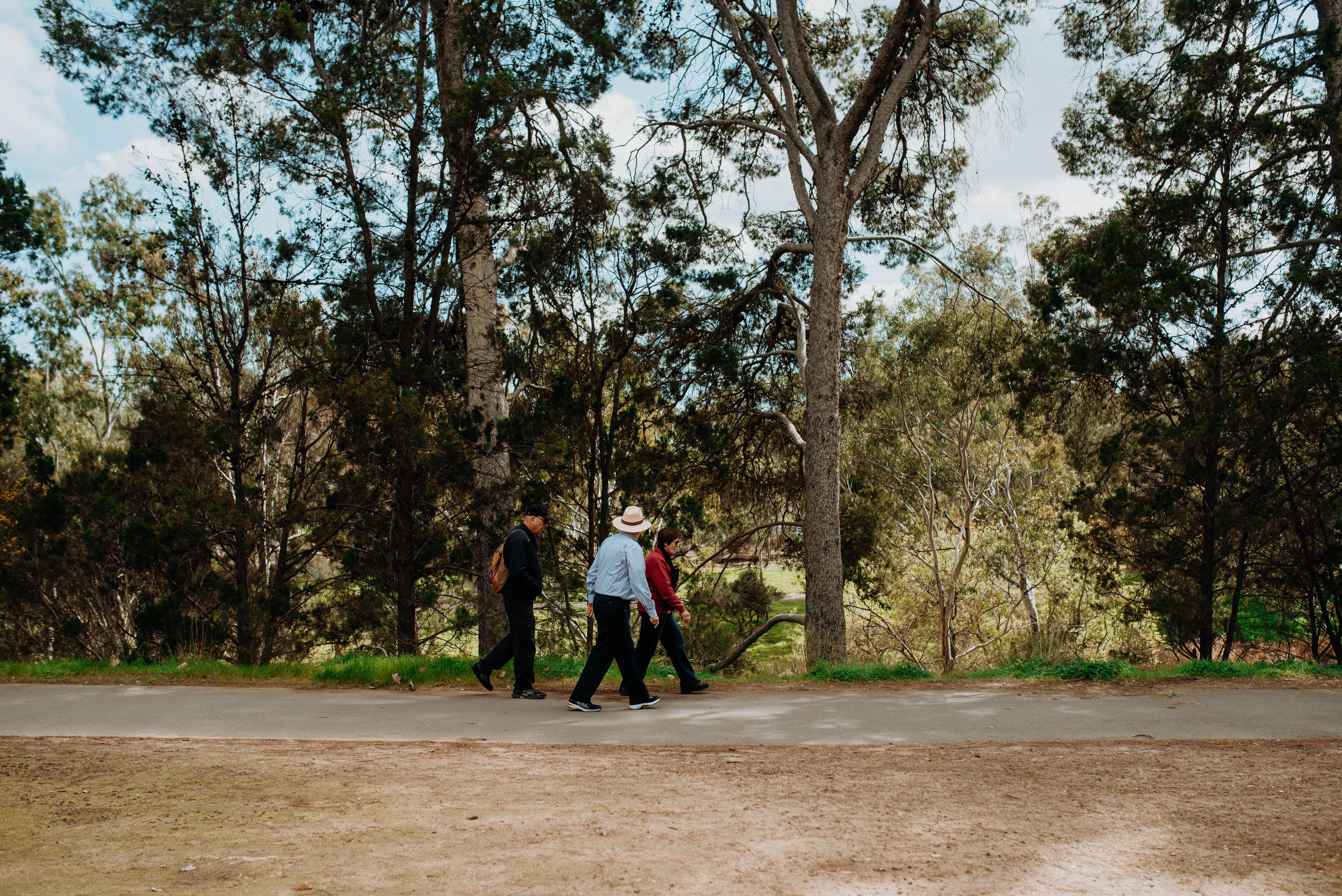 Experience Adelaide | Let's Walk & Talk