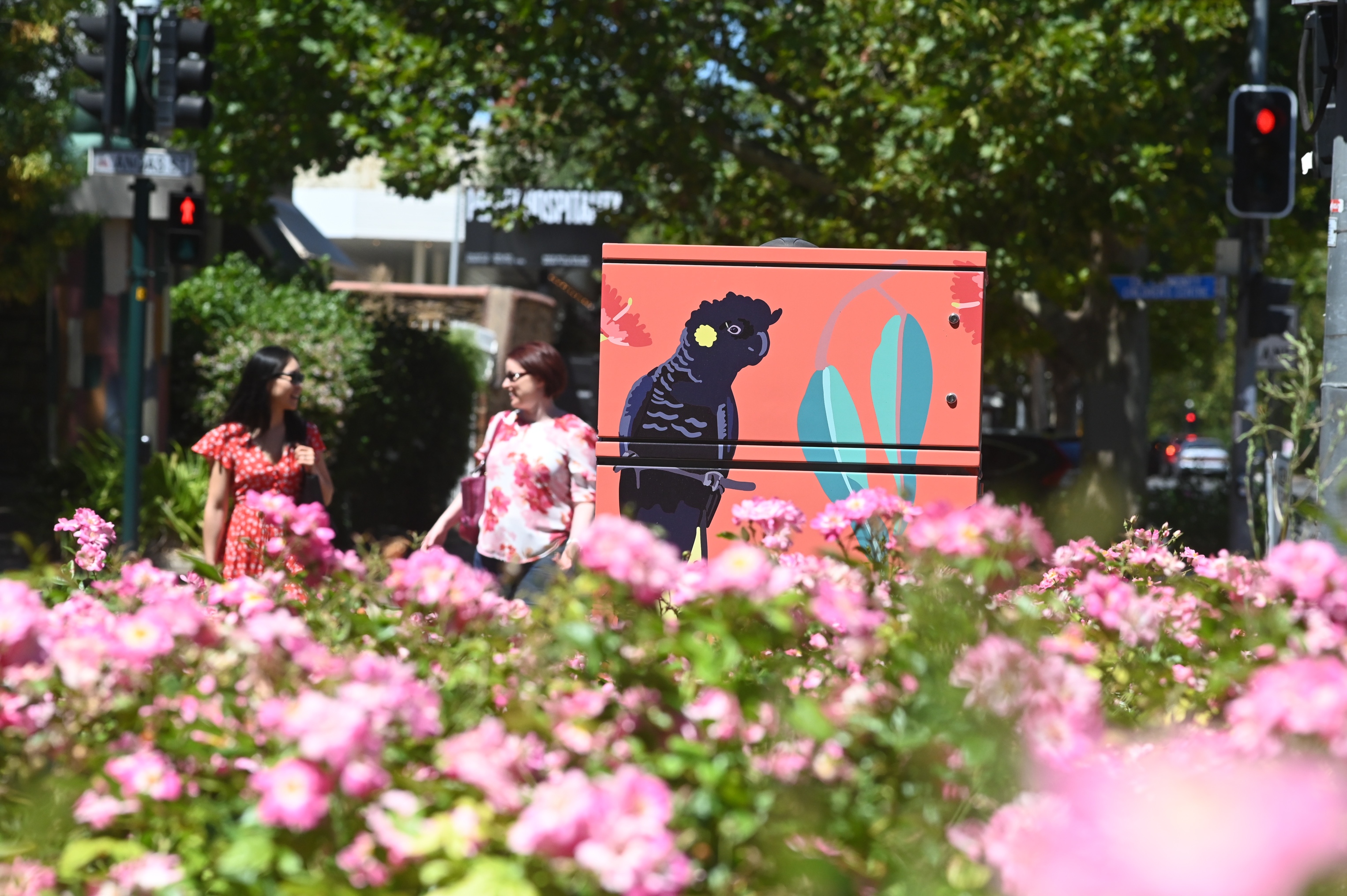 Hutt Street – Visitor Guide | City of Adelaide