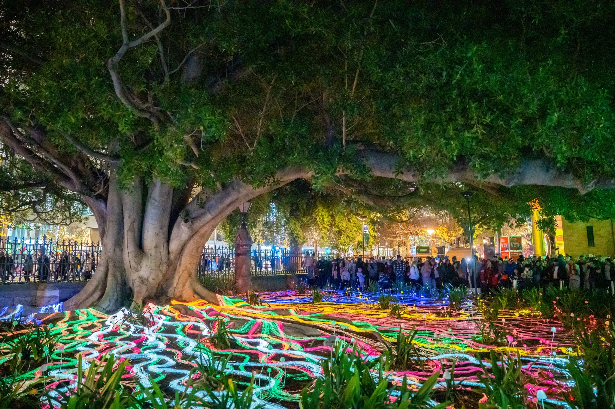 Experience Adelaide | Illuminate Adelaide