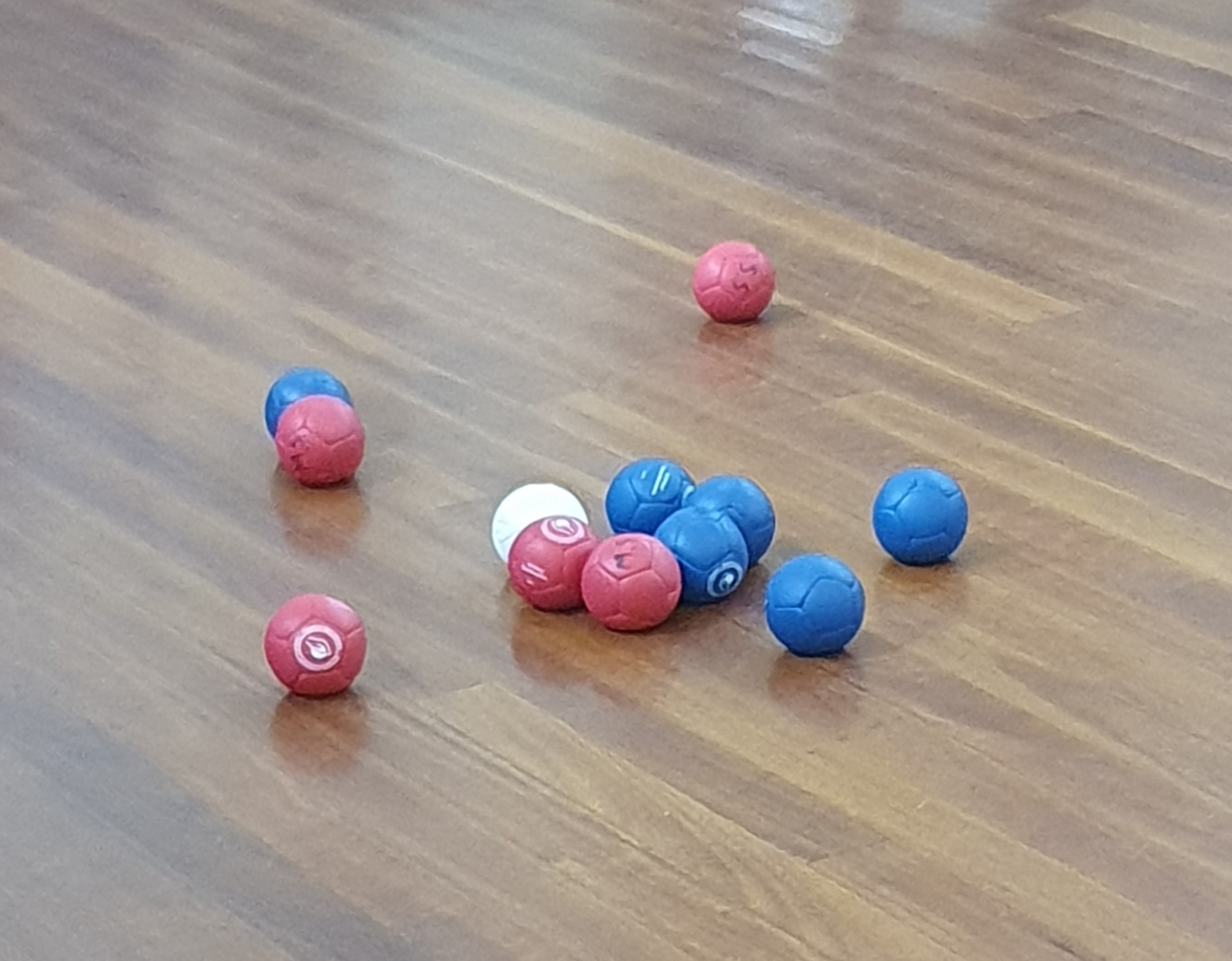 Experience Adelaide | Indoor Boccia