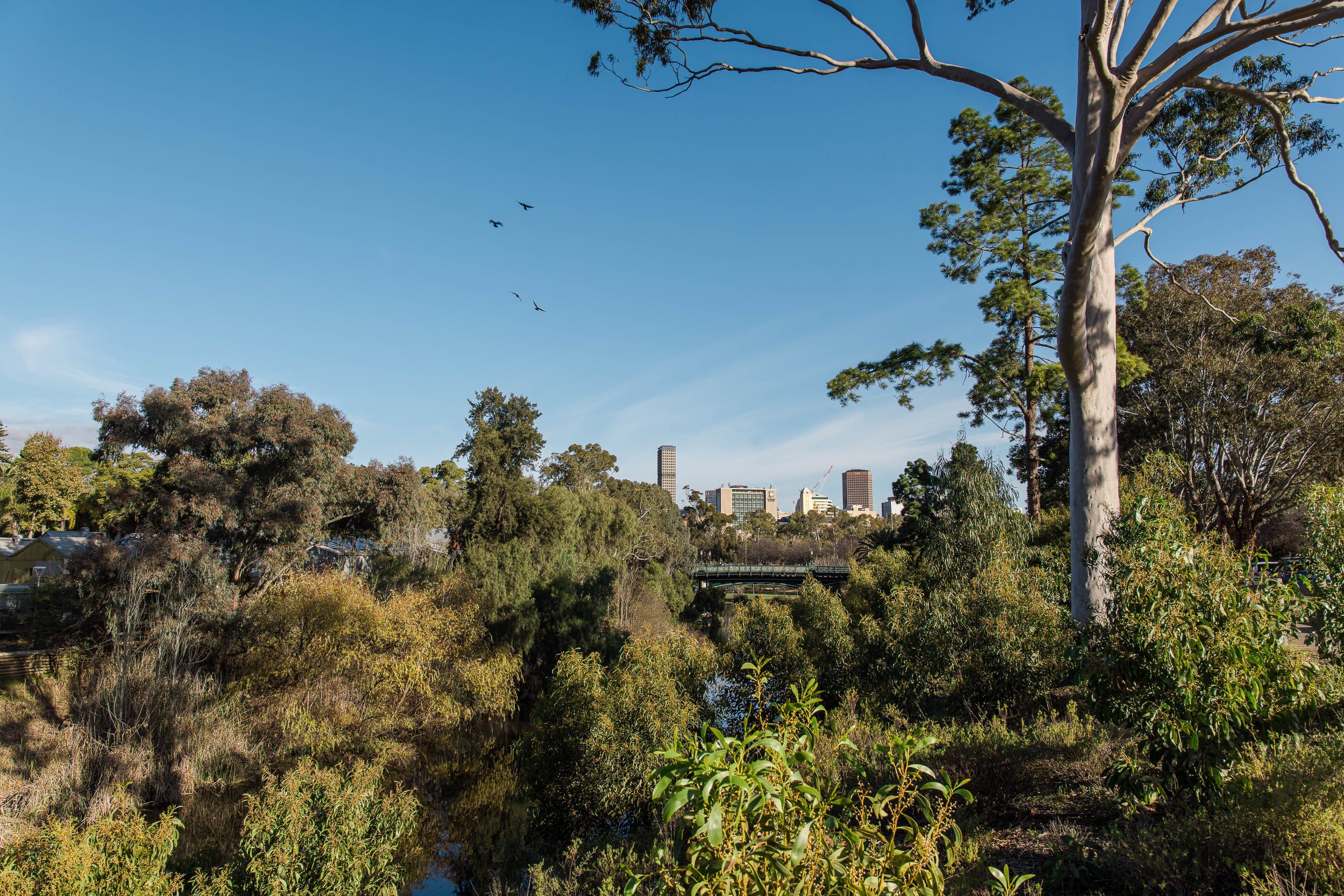 Mistletoe Park / Tainmuntilla (Park 11) | City of Adelaide