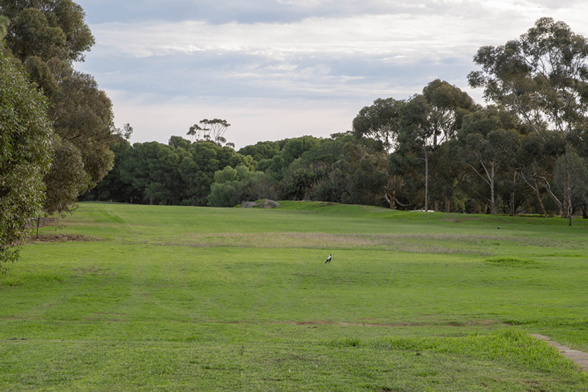 Course Policies | North Adelaide Golf Course