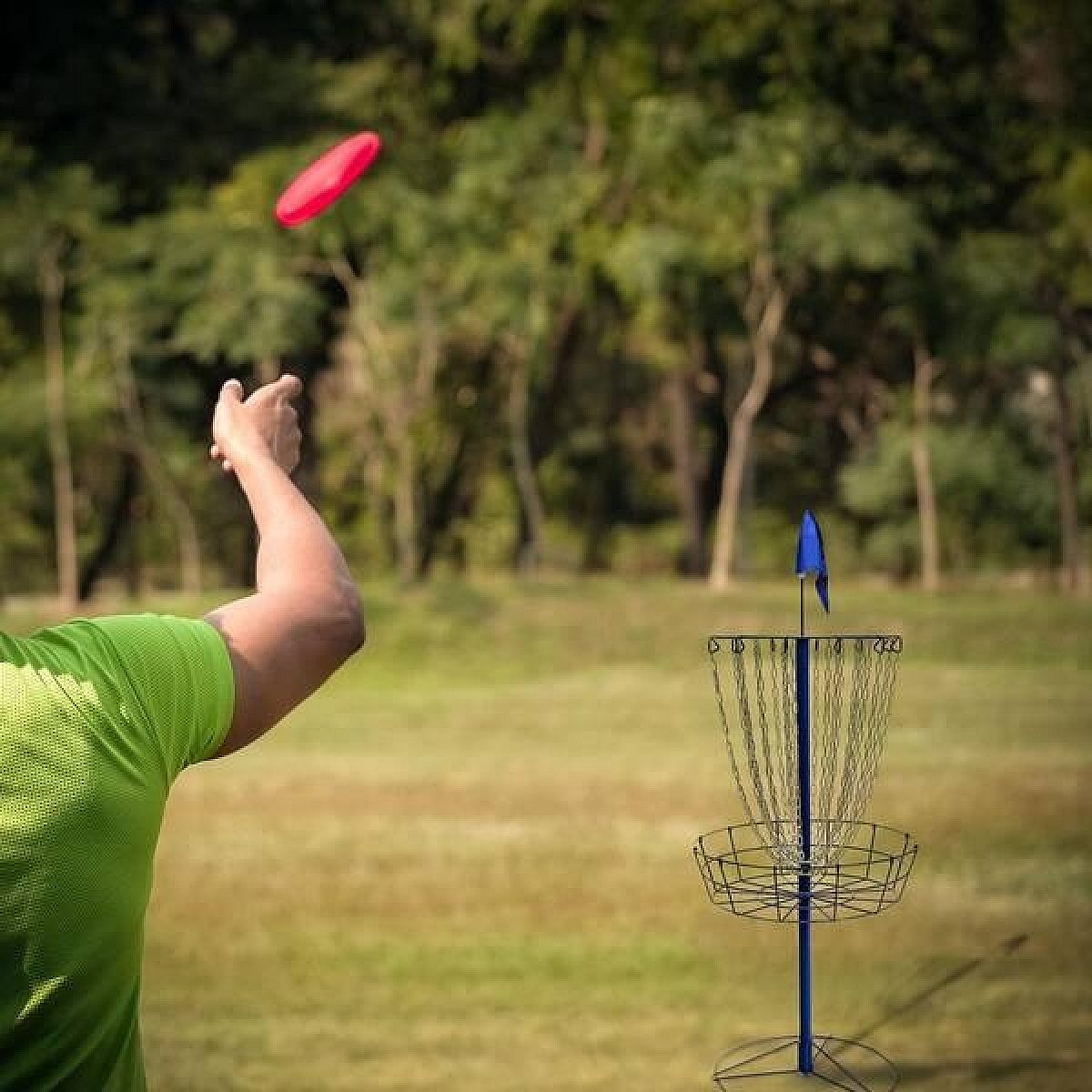 Experience Adelaide | Come and Try Disc Golf