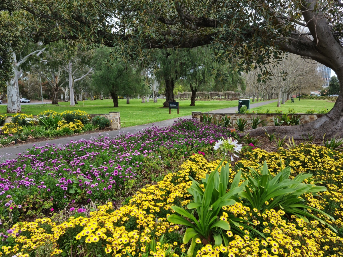 Rymill Park / Murlawirrapurka (Park 14) | City of Adelaide