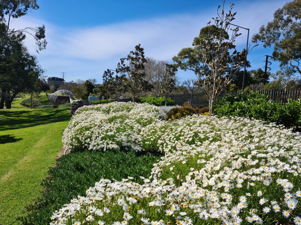 Rymill Park / Murlawirrapurka (Park 14) | City of Adelaide