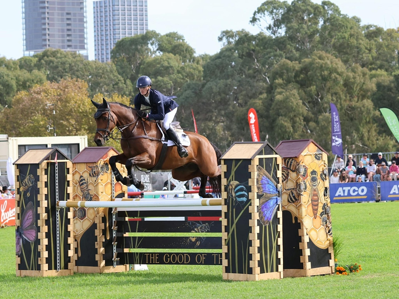 Experience Adelaide | What's on in Adelaide