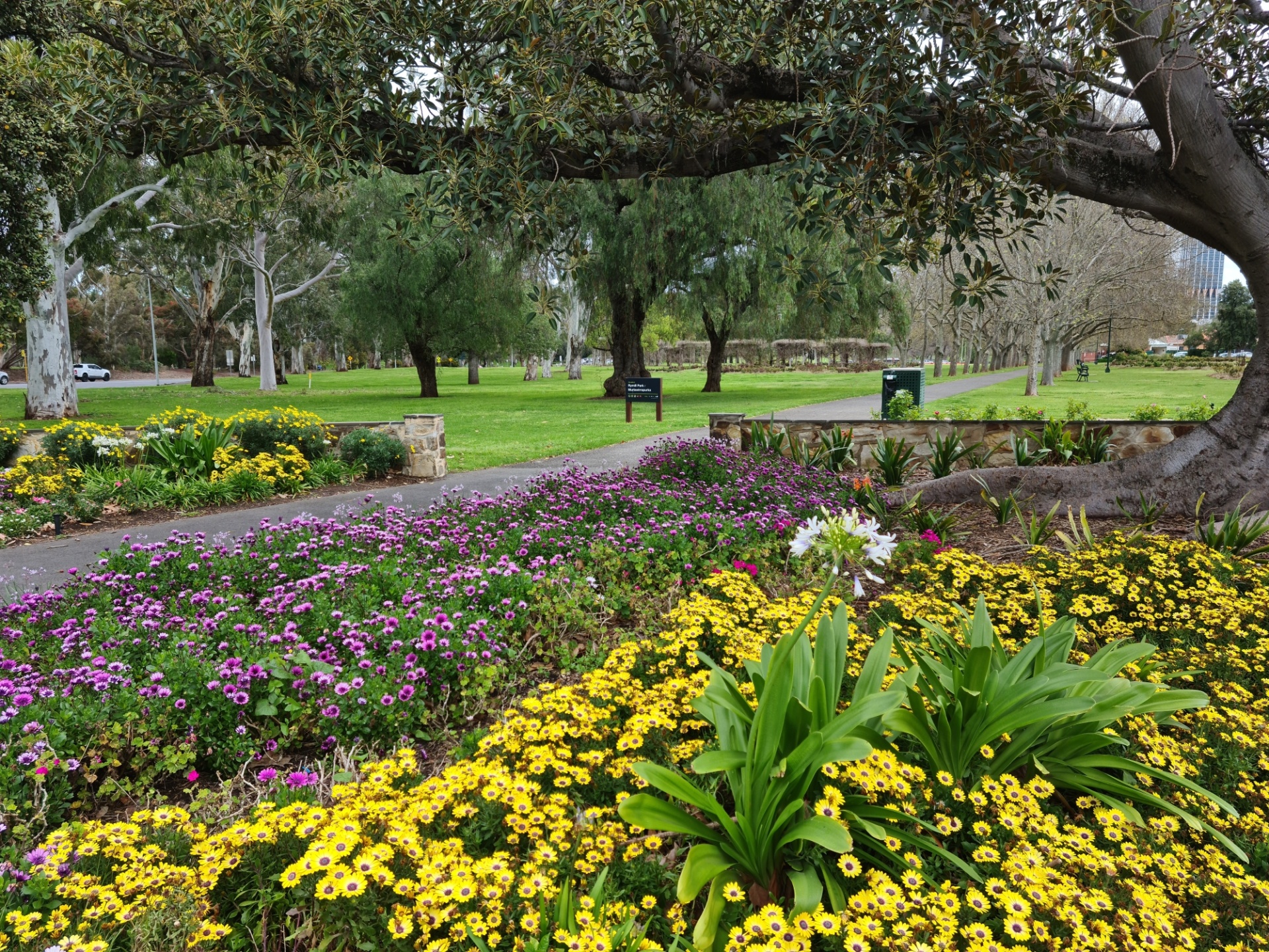 Rymill Park / Murlawirrapurka (Park 14) | City of Adelaide