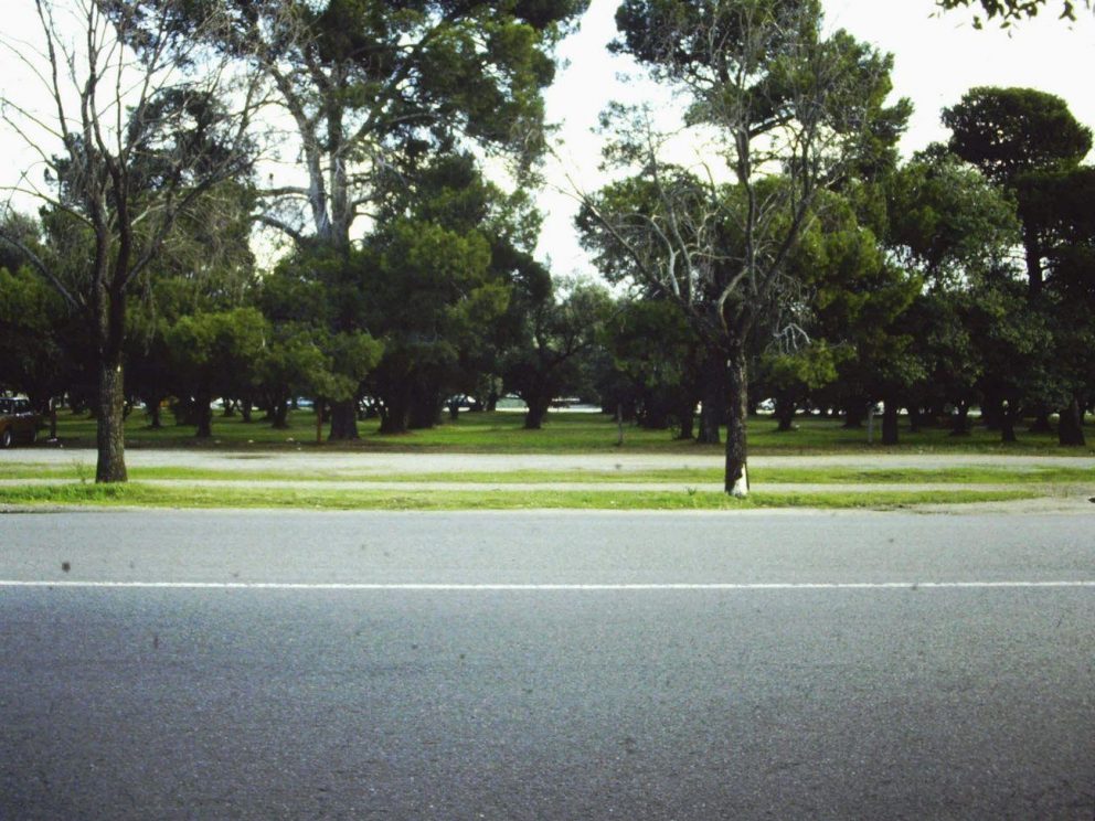 Mann Terrace Olive Plantation - Mann Terrace NORTH ADELAIDE | Heritage ...