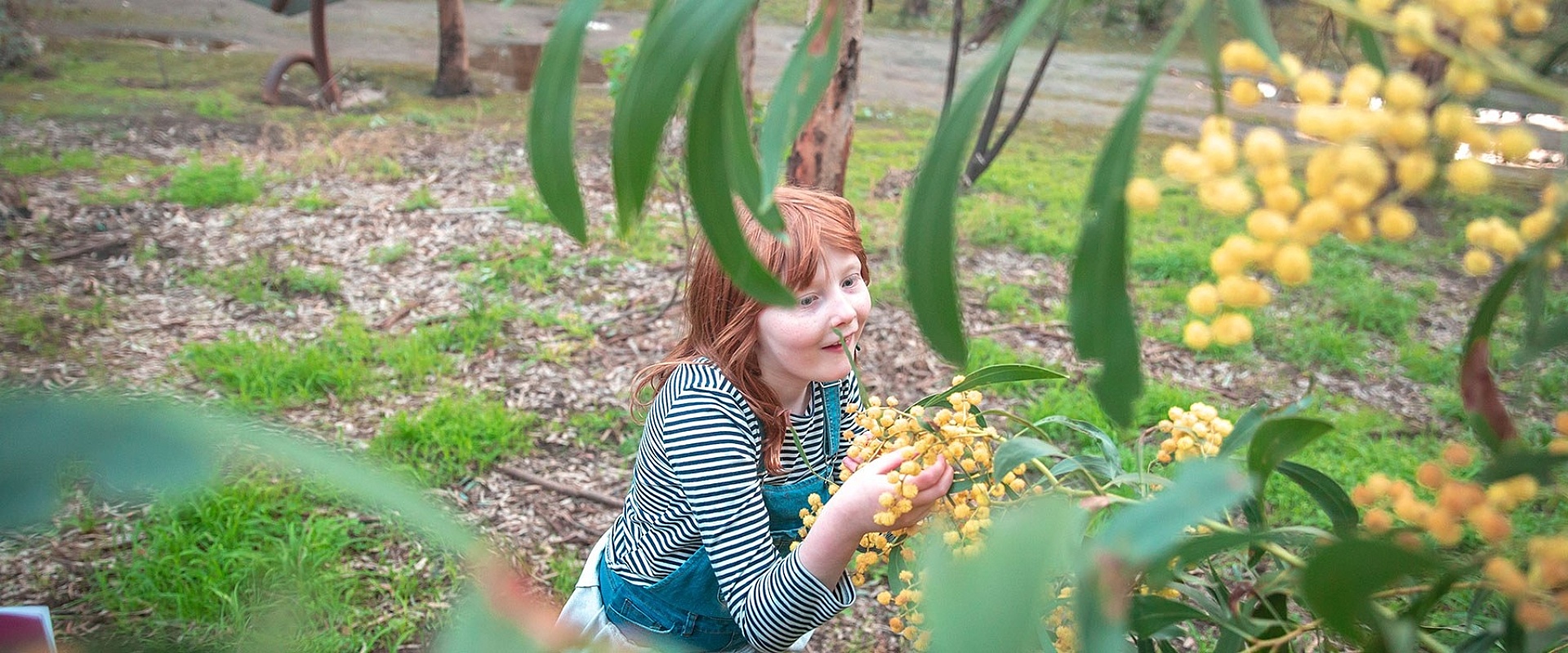 Bunyip Trail | City of Adelaide