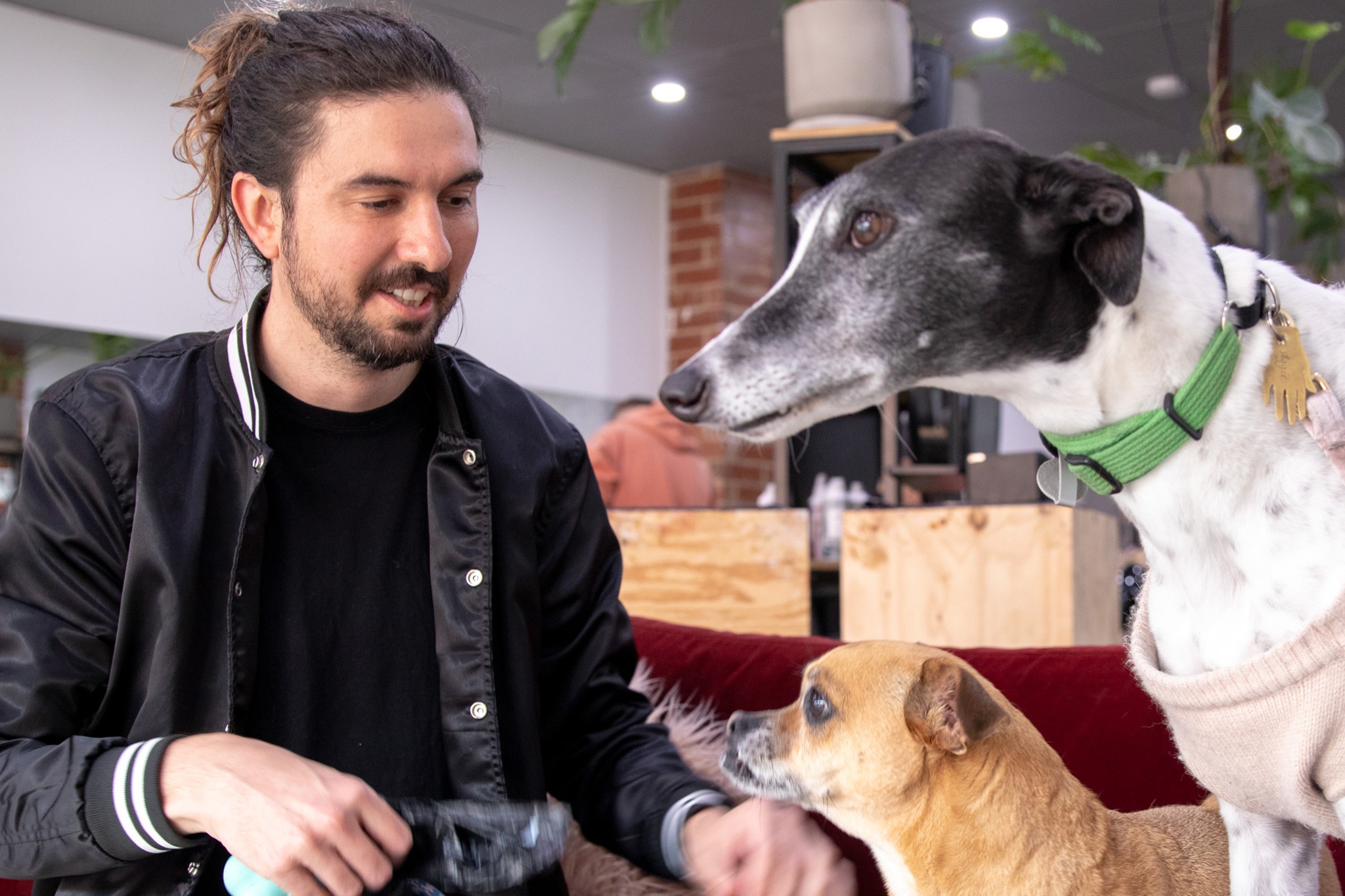 Experience Adelaide | Working dogs