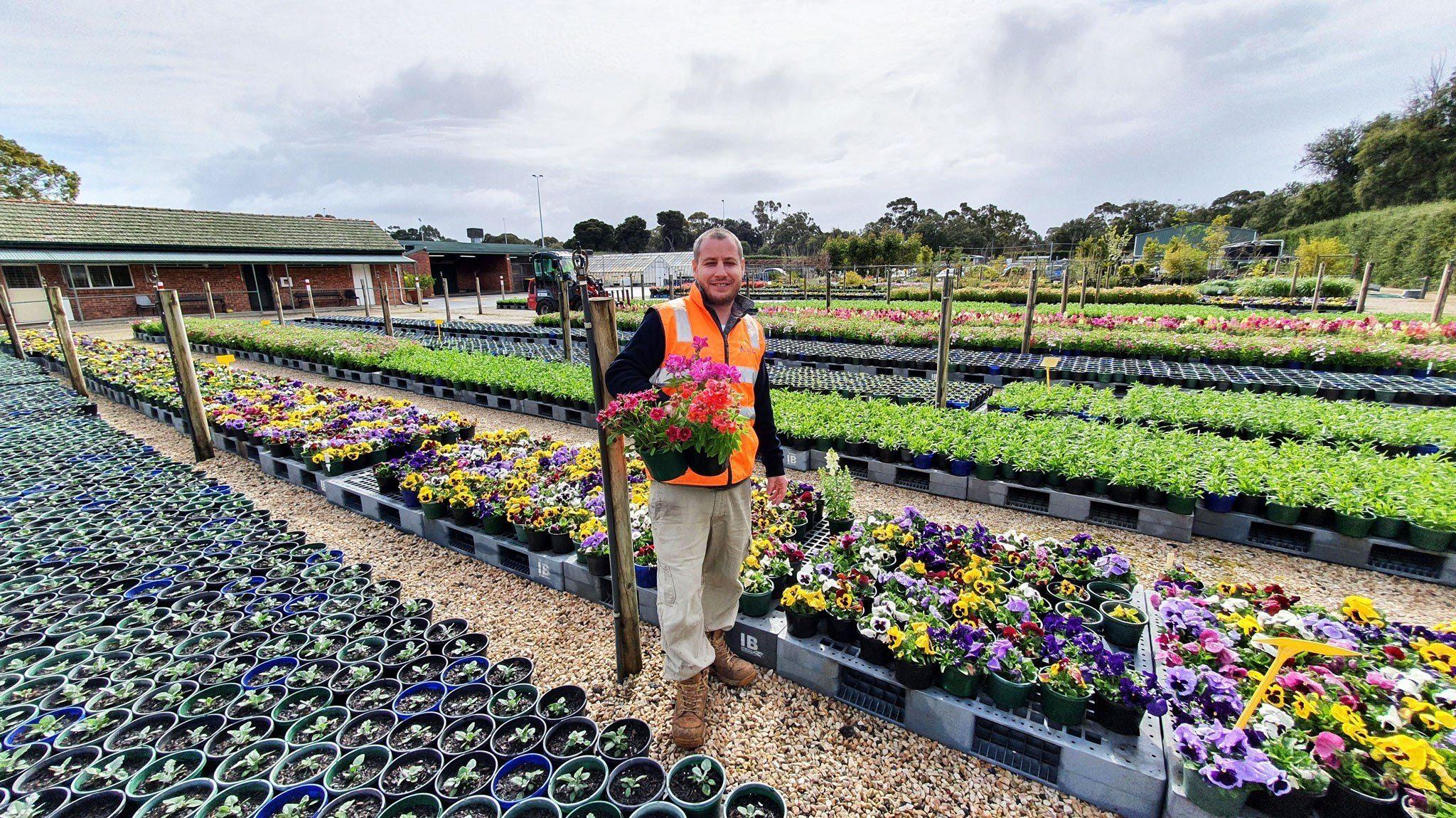 Experience Adelaide | Flower power: planting the Park Lands