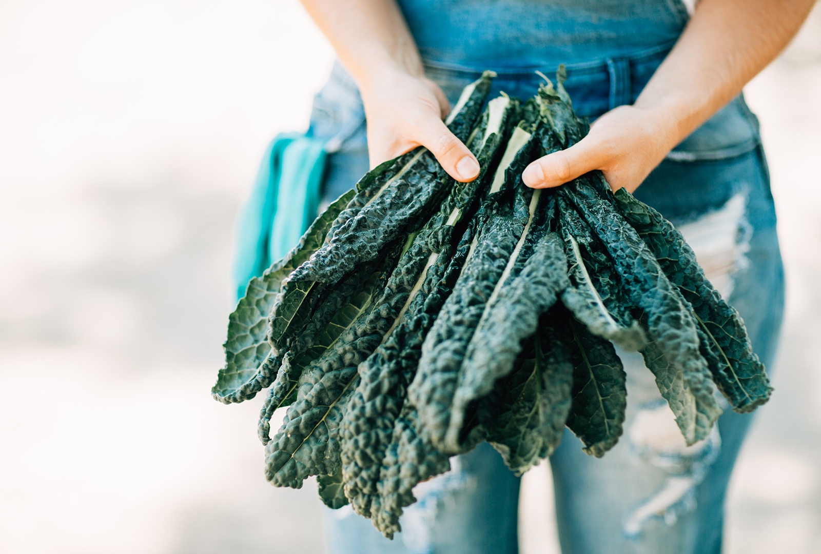 Winter greens in the vegetable garden | City of Adelaide