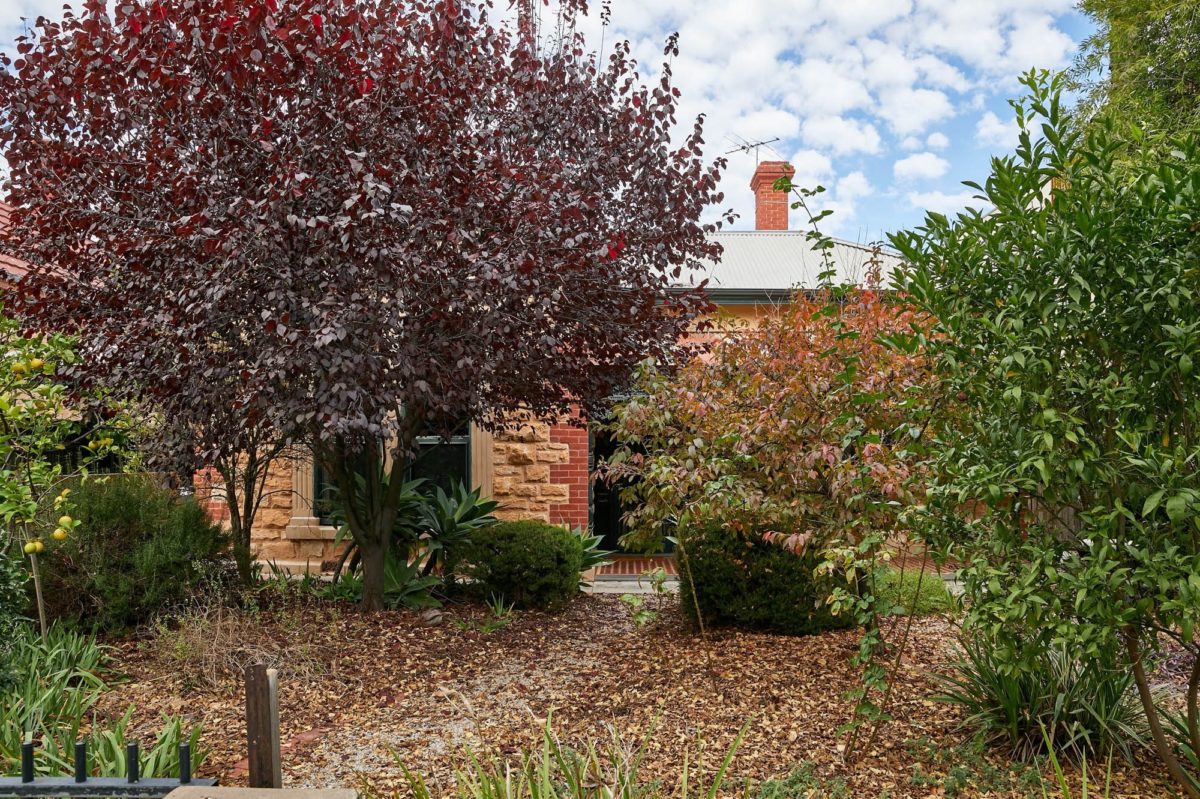 House - 211-215 Gover Street (known as 213) NORTH ADELAIDE | Heritage ...