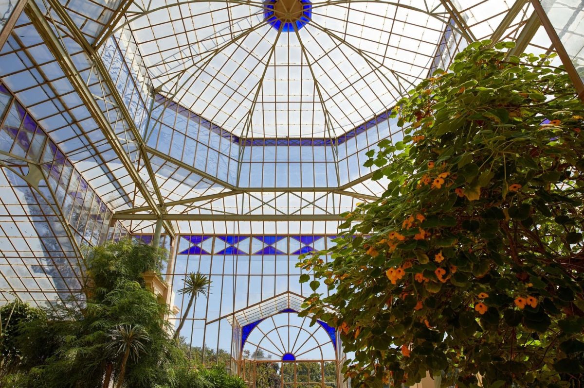 Palm House, Adelaide Botanic Garden - Adelaide Botanic Garden North ...