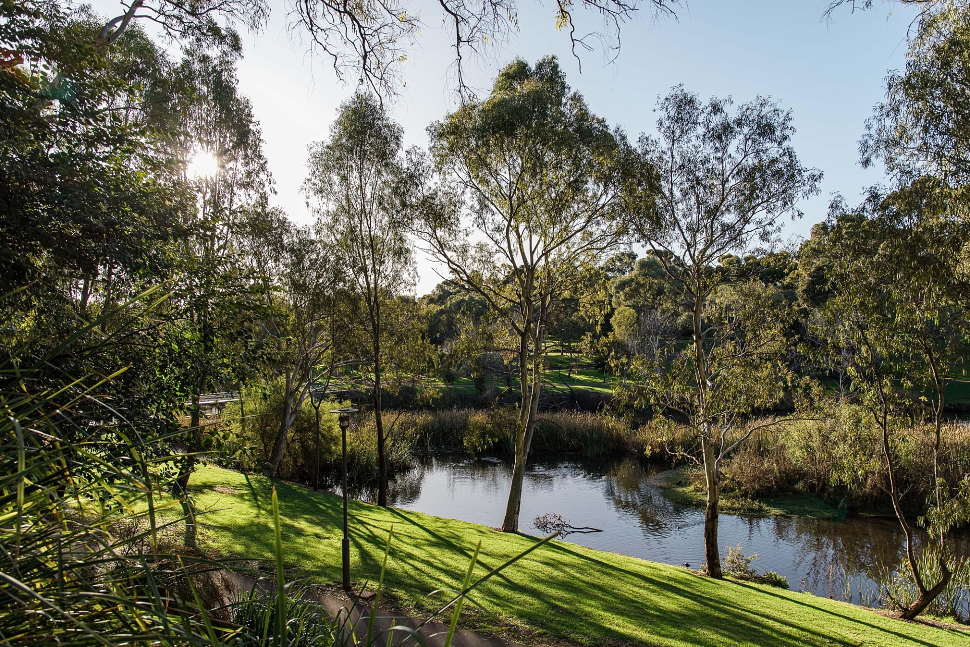 Bonython Park / Tulya Wardli (Park 27) | City of Adelaide