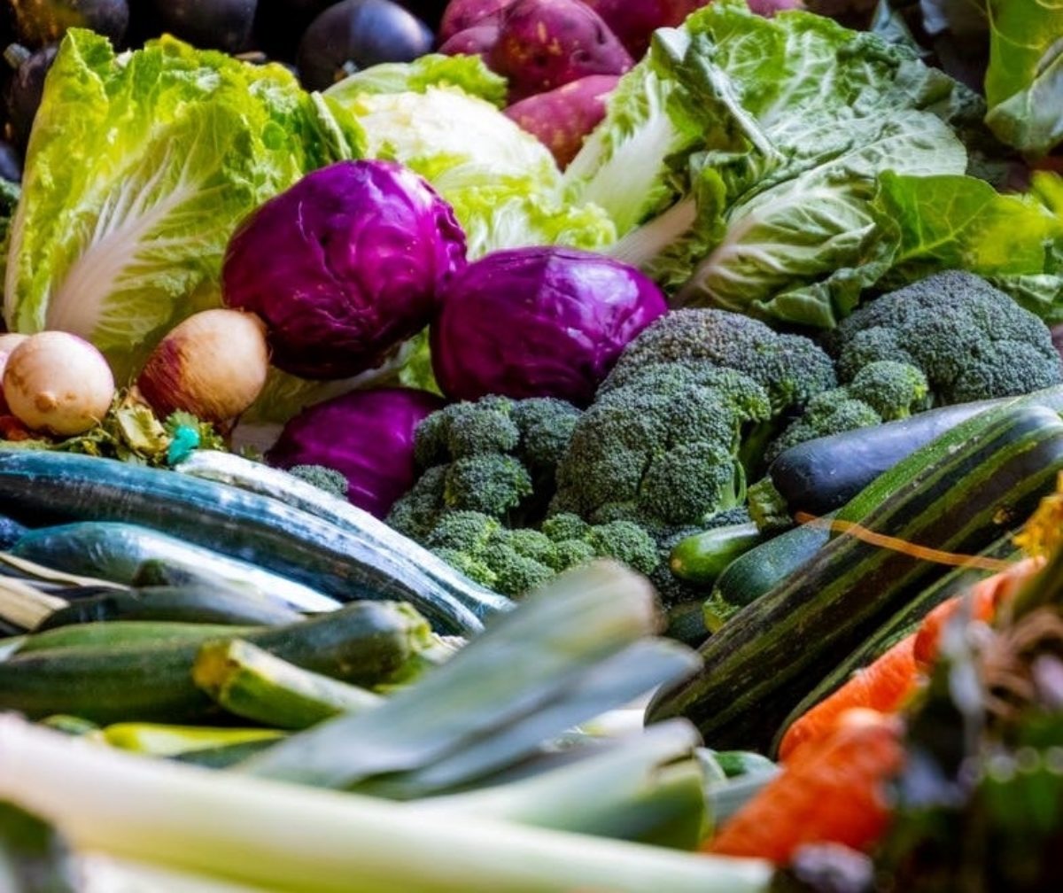 Experience Adelaide | North Adelaide Community Centre Community Garden