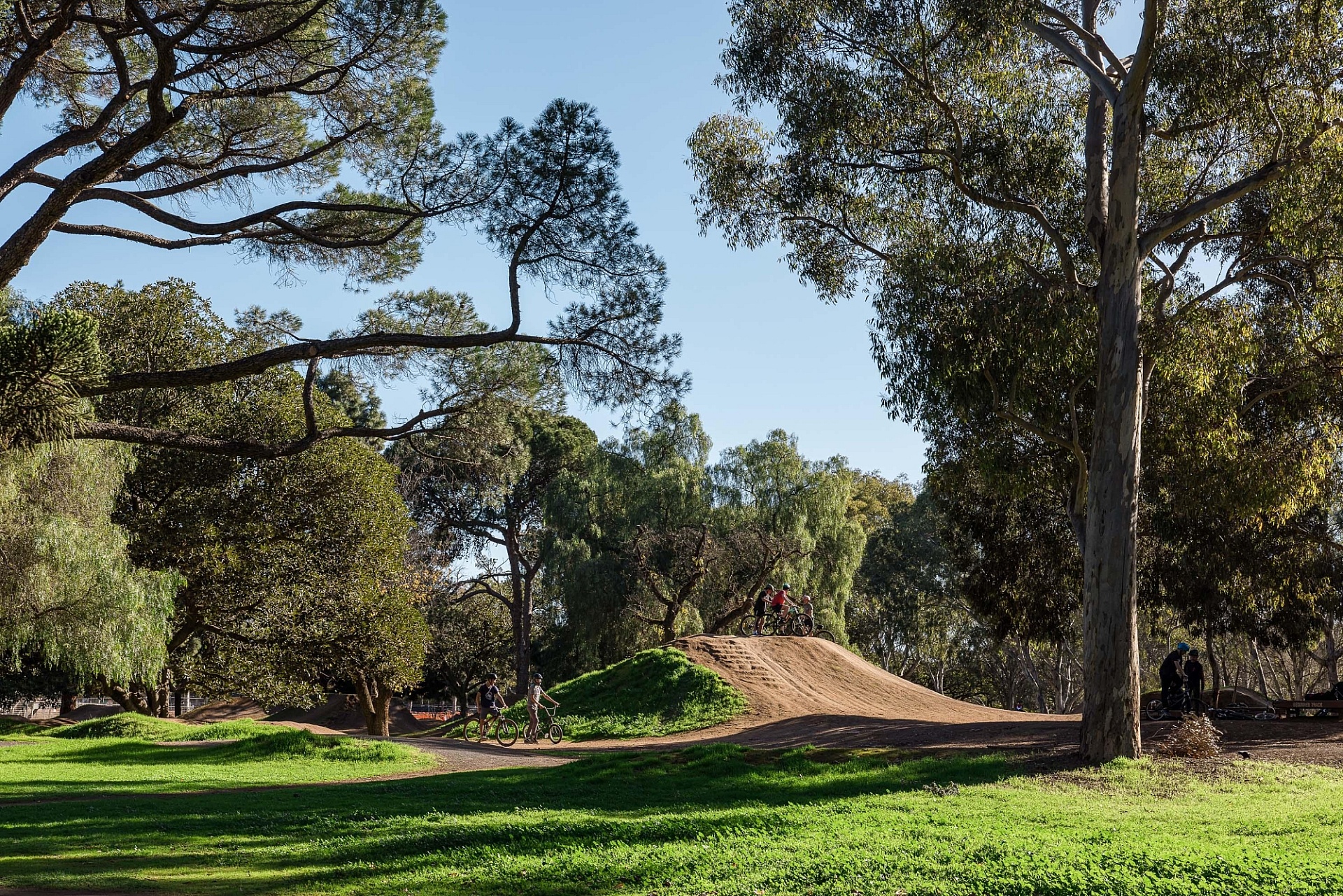 Blue Gum Park / Kurangga (Park 20) | City of Adelaide