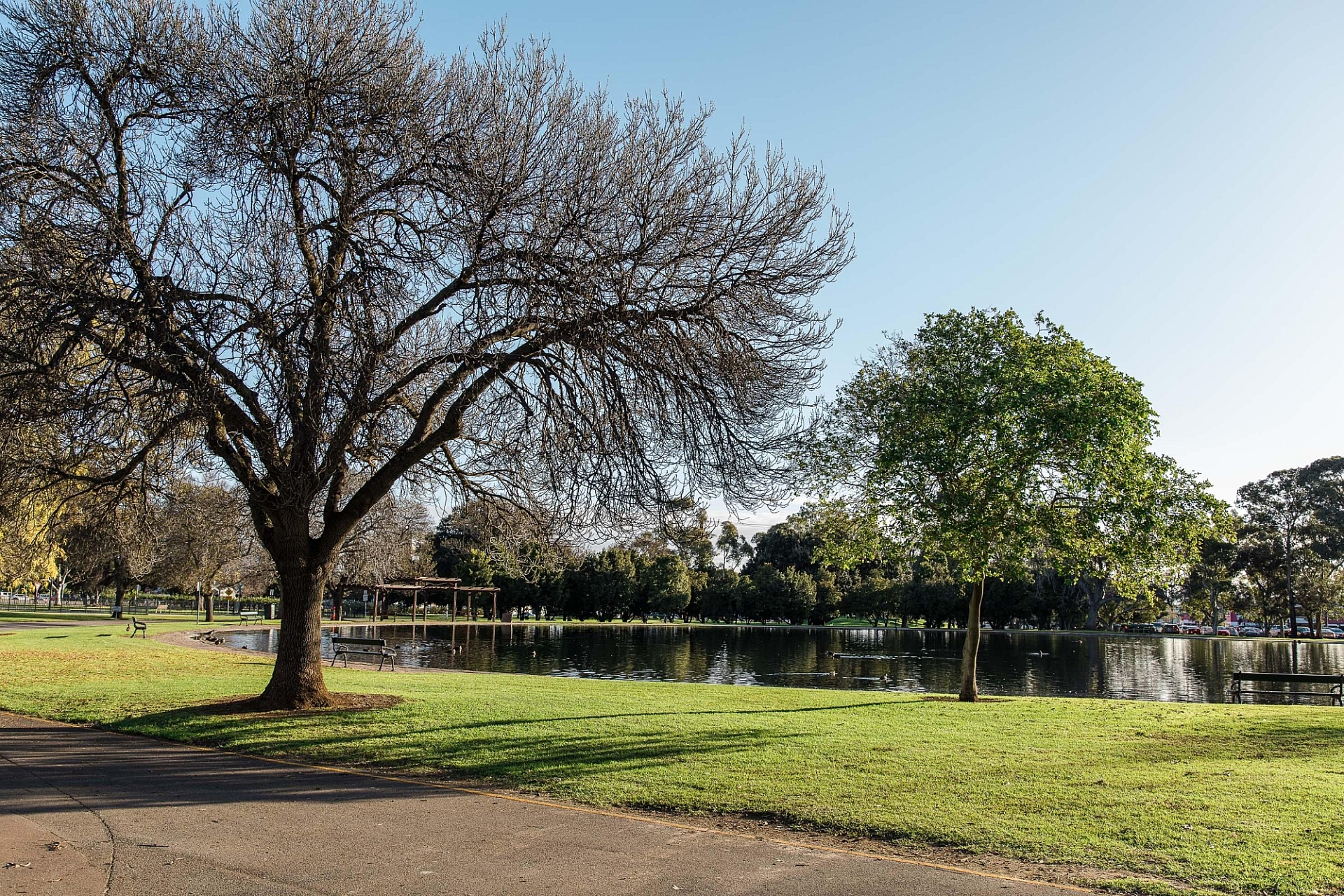 Bonython Park / Tulya Wardli (Park 27) | City of Adelaide