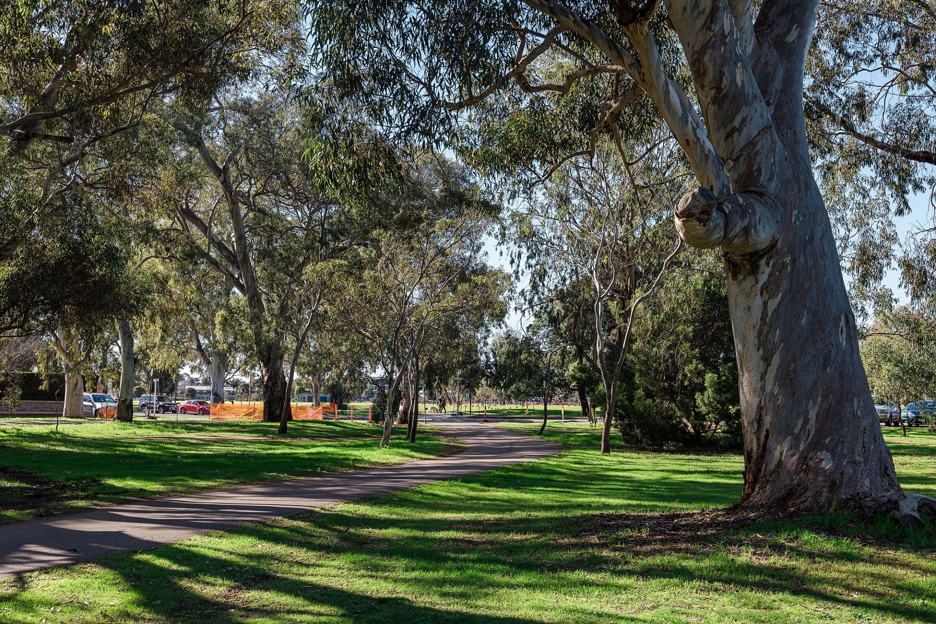 Carriageway Park / Tuthangga (Park 17) | City of Adelaide