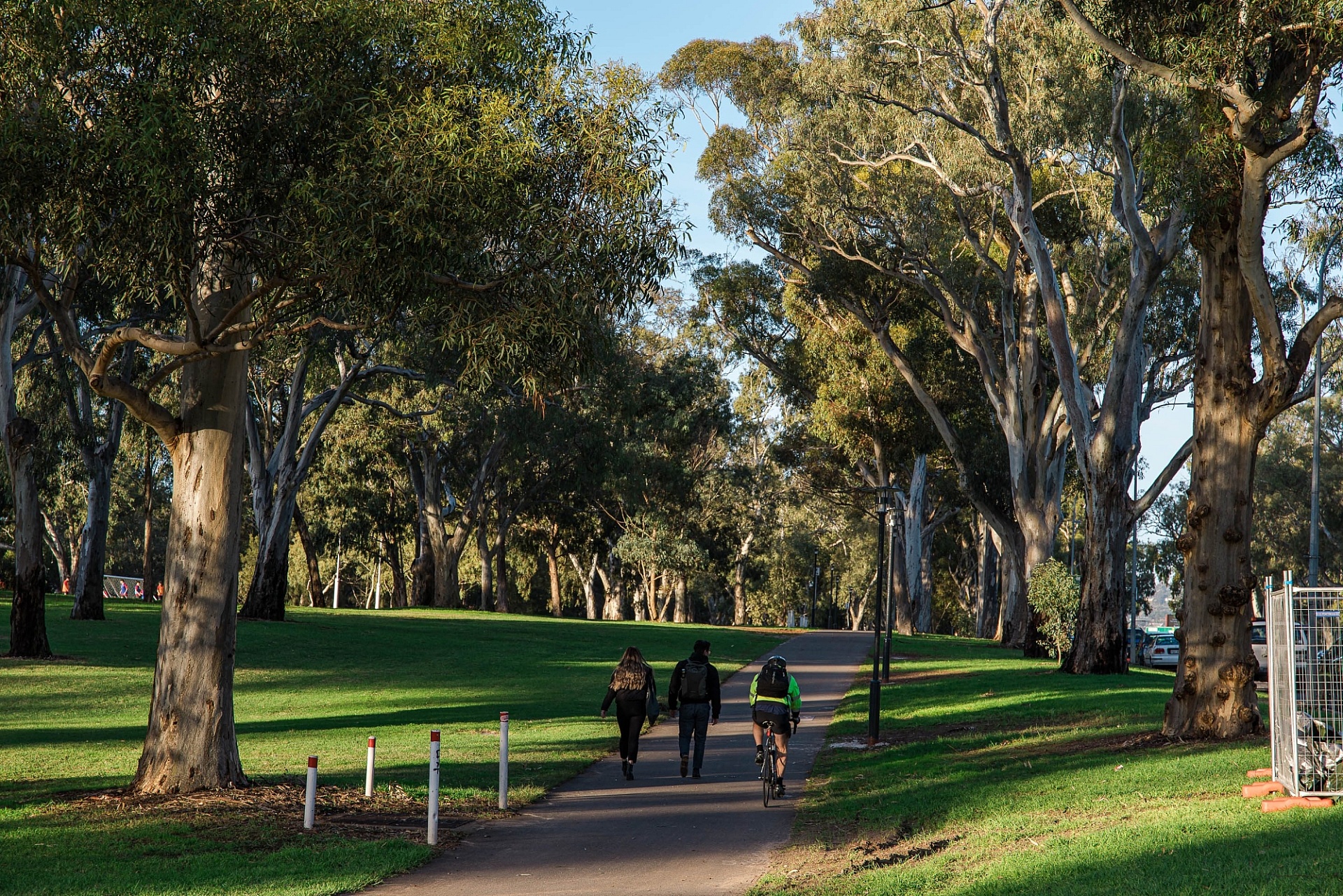 King Rodney Park / Ityamai-itpina (Park 15) | City of Adelaide