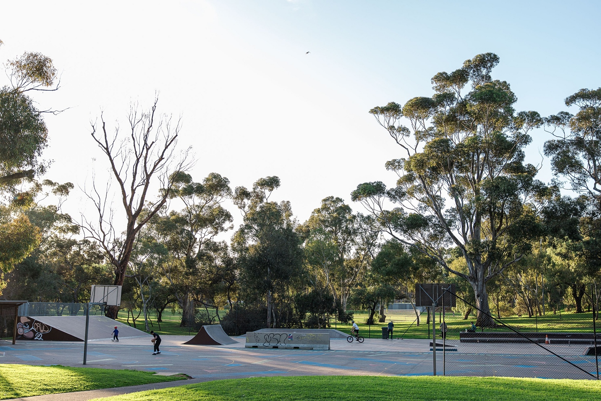 King Rodney Park / Ityamai-itpina (Park 15) | City of Adelaide