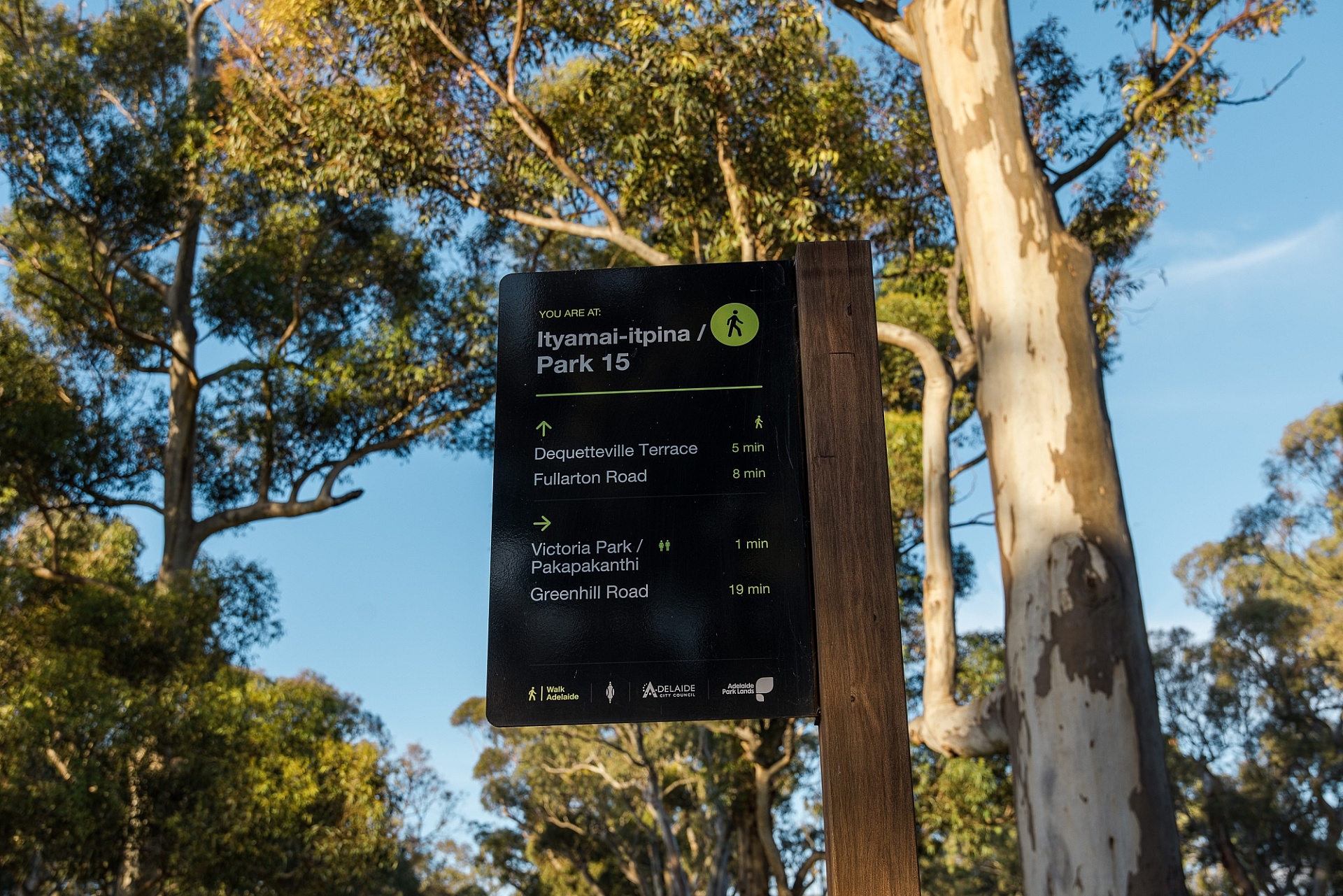 King Rodney Park / Ityamai-itpina (Park 15) | City of Adelaide