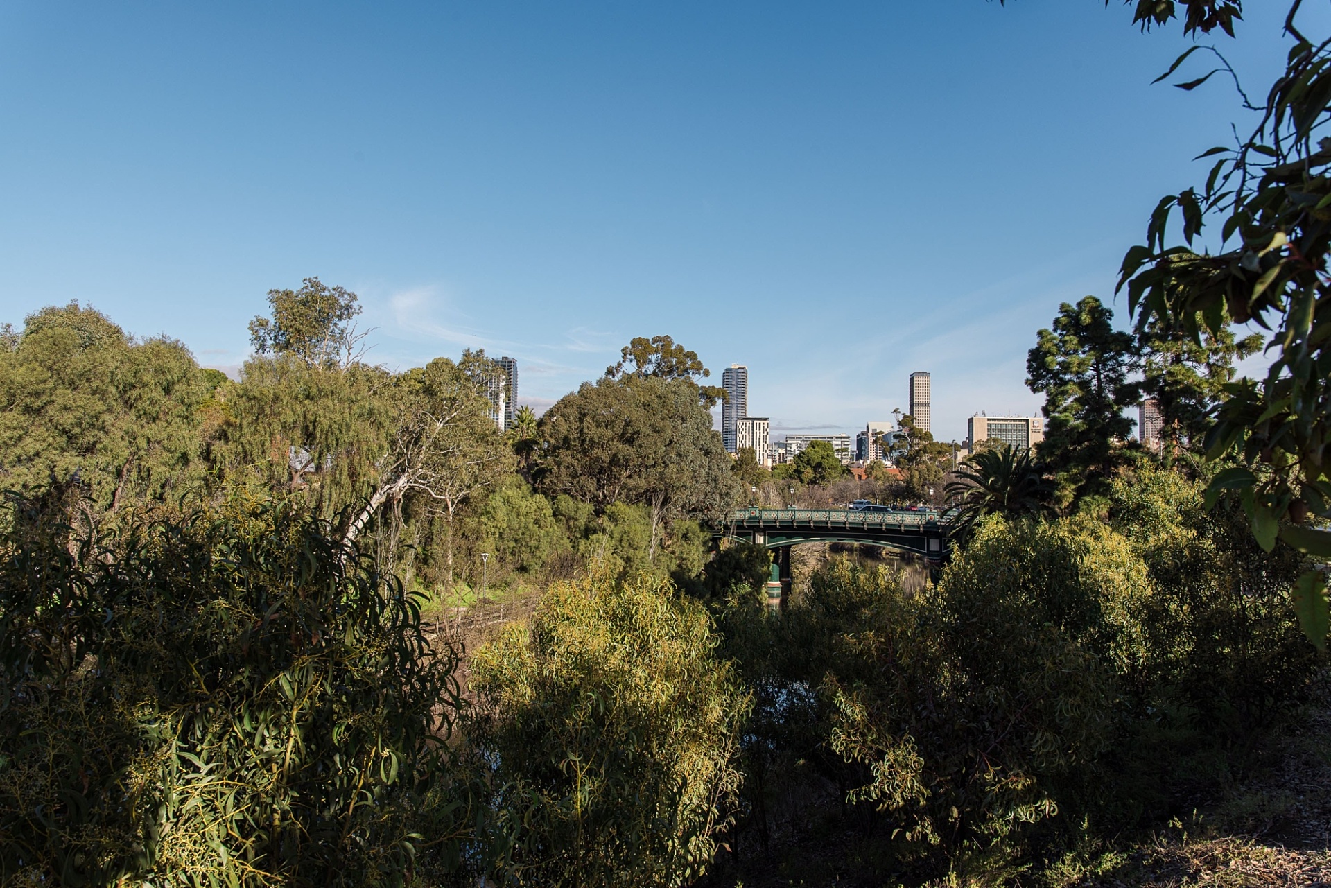 Mistletoe Park / Tainmuntilla (Park 11) | City of Adelaide