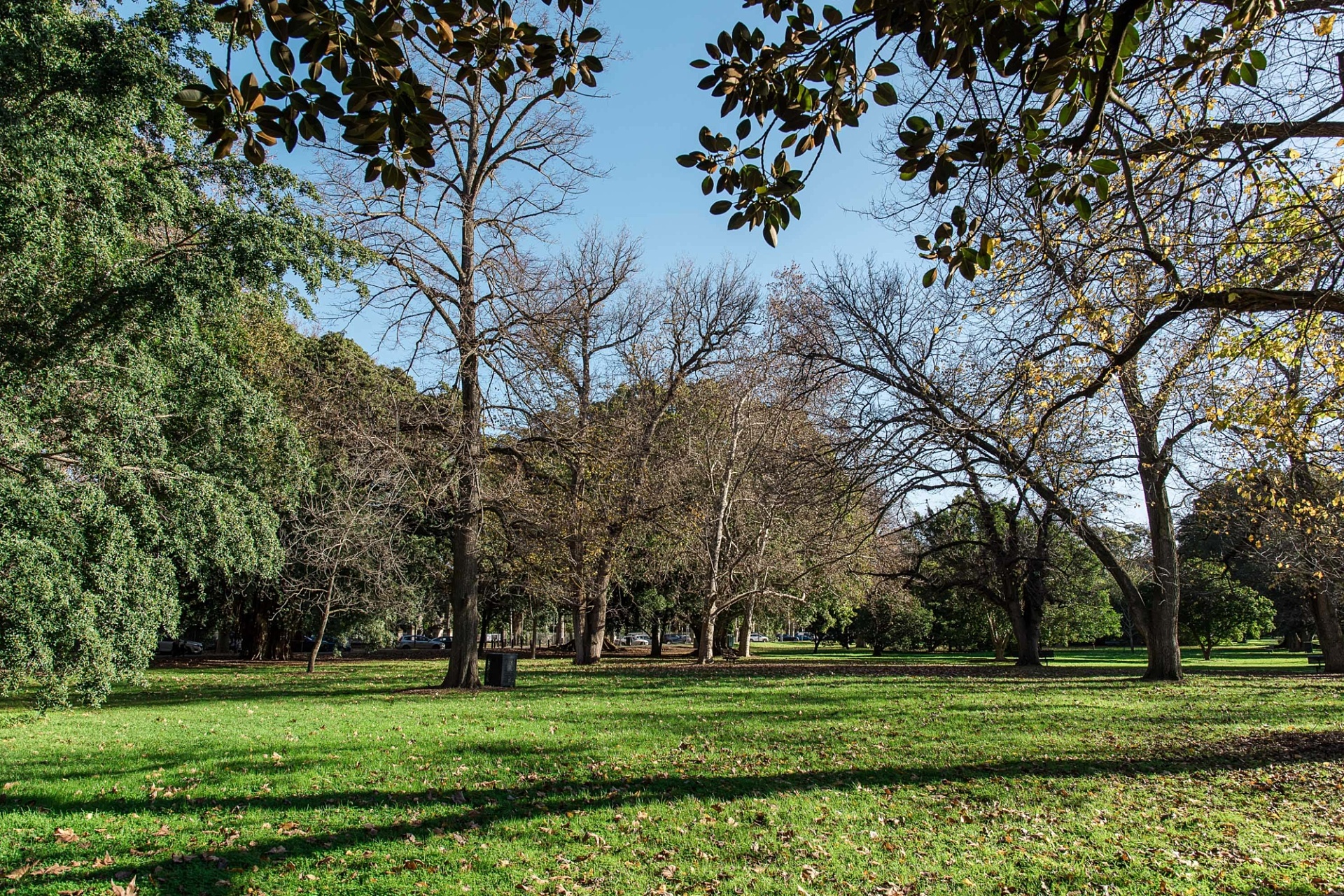 Mistletoe Park / Tainmuntilla (Park 11) | City of Adelaide