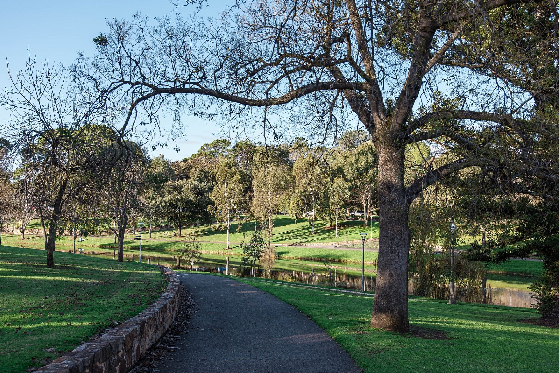 Red Gum Park / Karrawirra (Park 12) | City of Adelaide