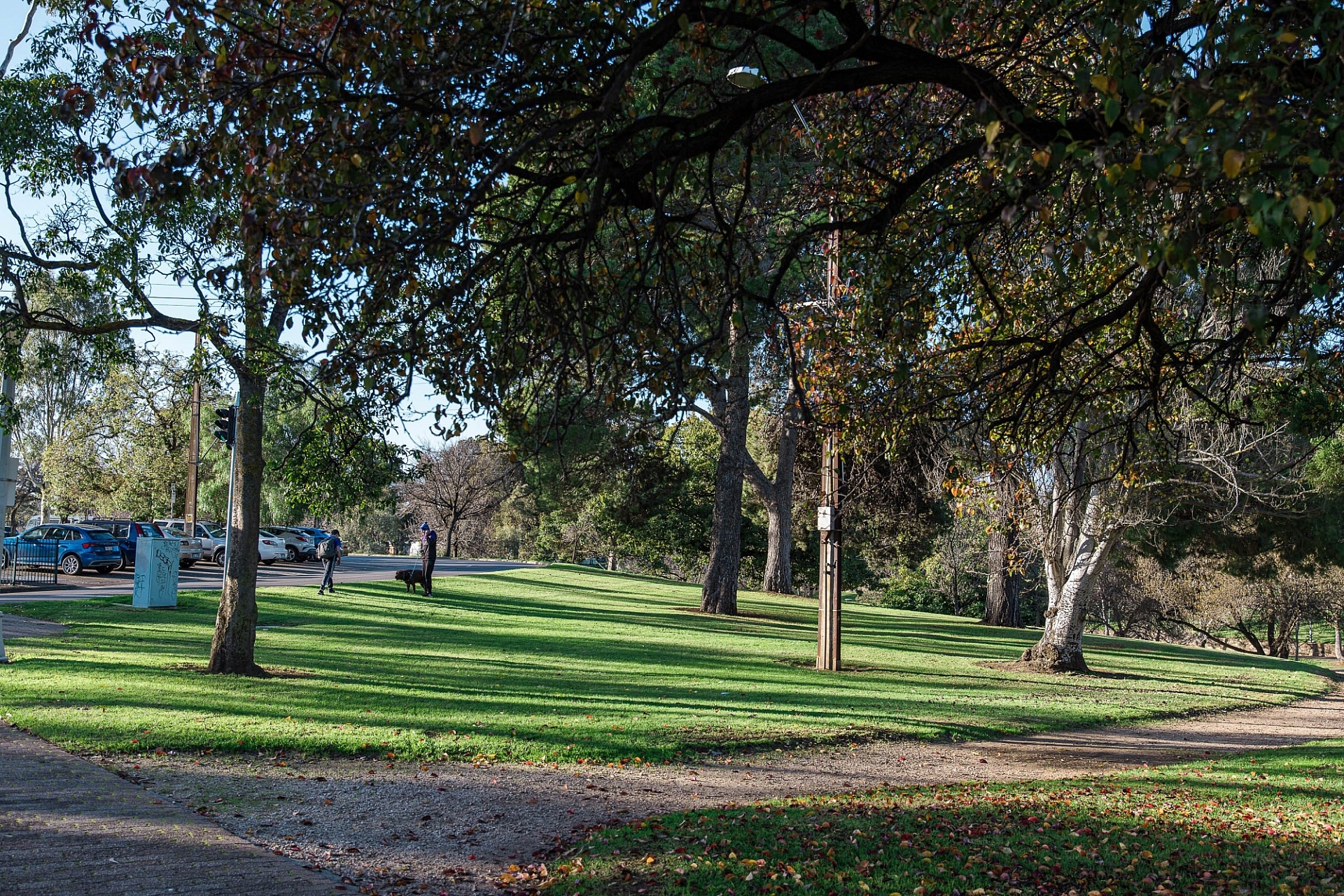 Red Gum Park / Karrawirra (Park 12) | City of Adelaide