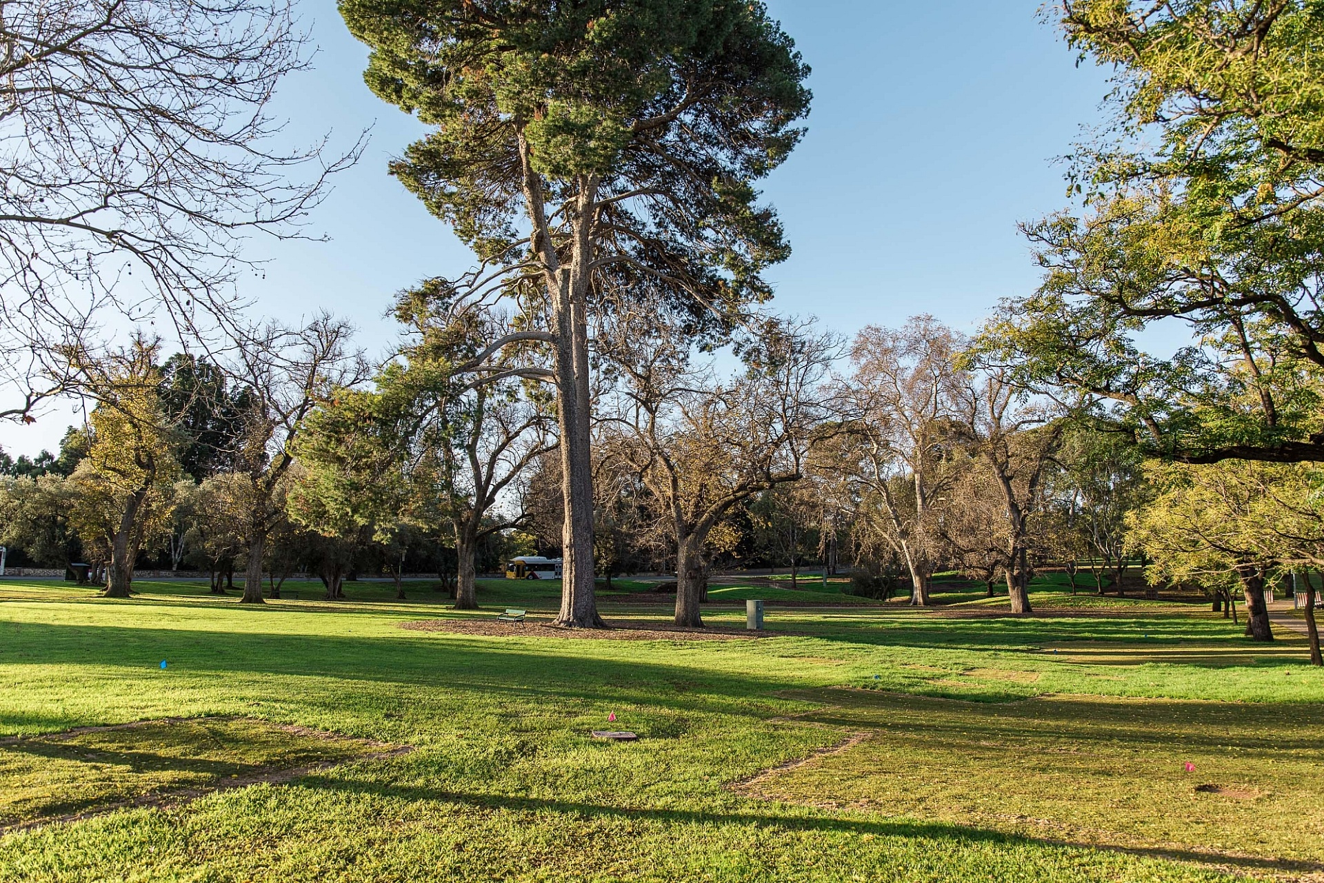 Rundle Park / Kadlitpina (Park 13) | City of Adelaide