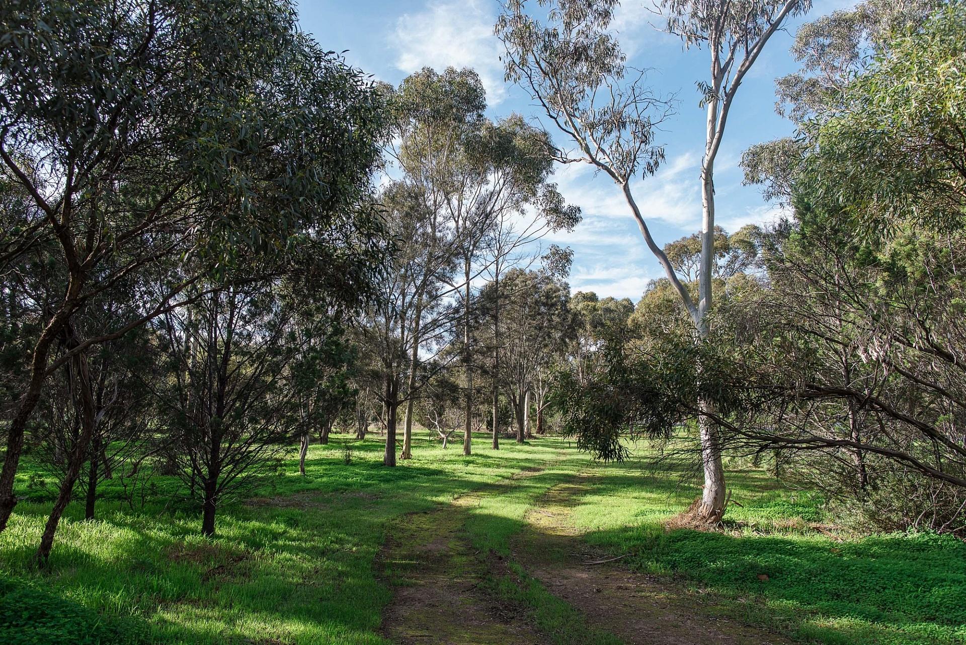 Yam Daisy Park / Kantarilla (Park 3) | City of Adelaide
