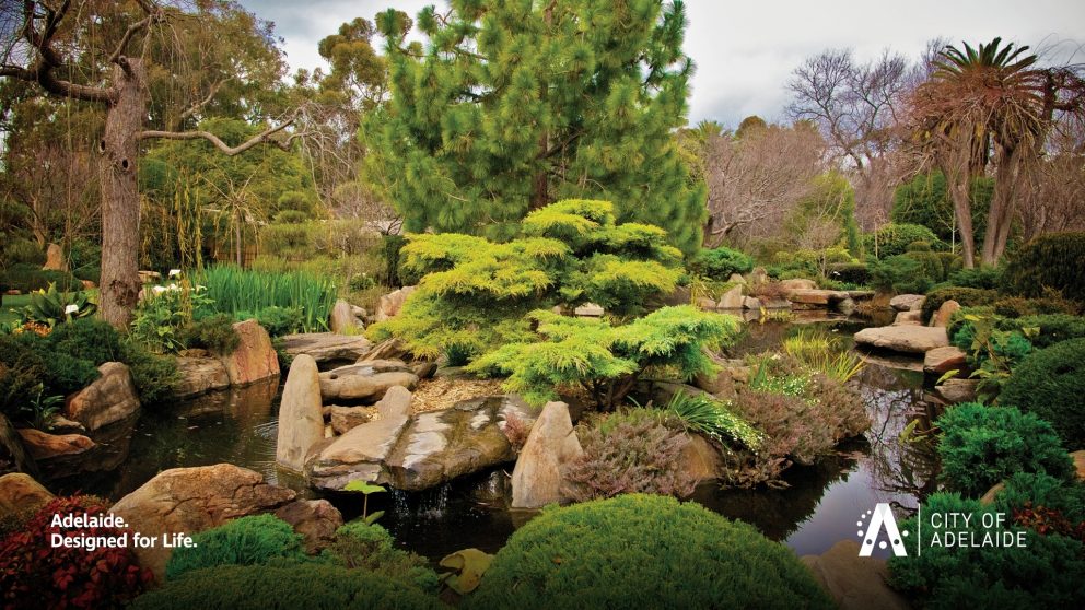 Experience Adelaide | Zoom backgrounds for true Adelaidians