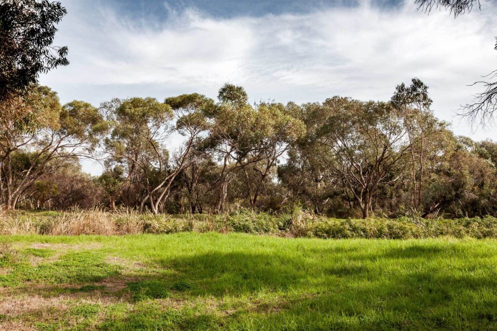 Getting involved in biodiversity | City of Adelaide