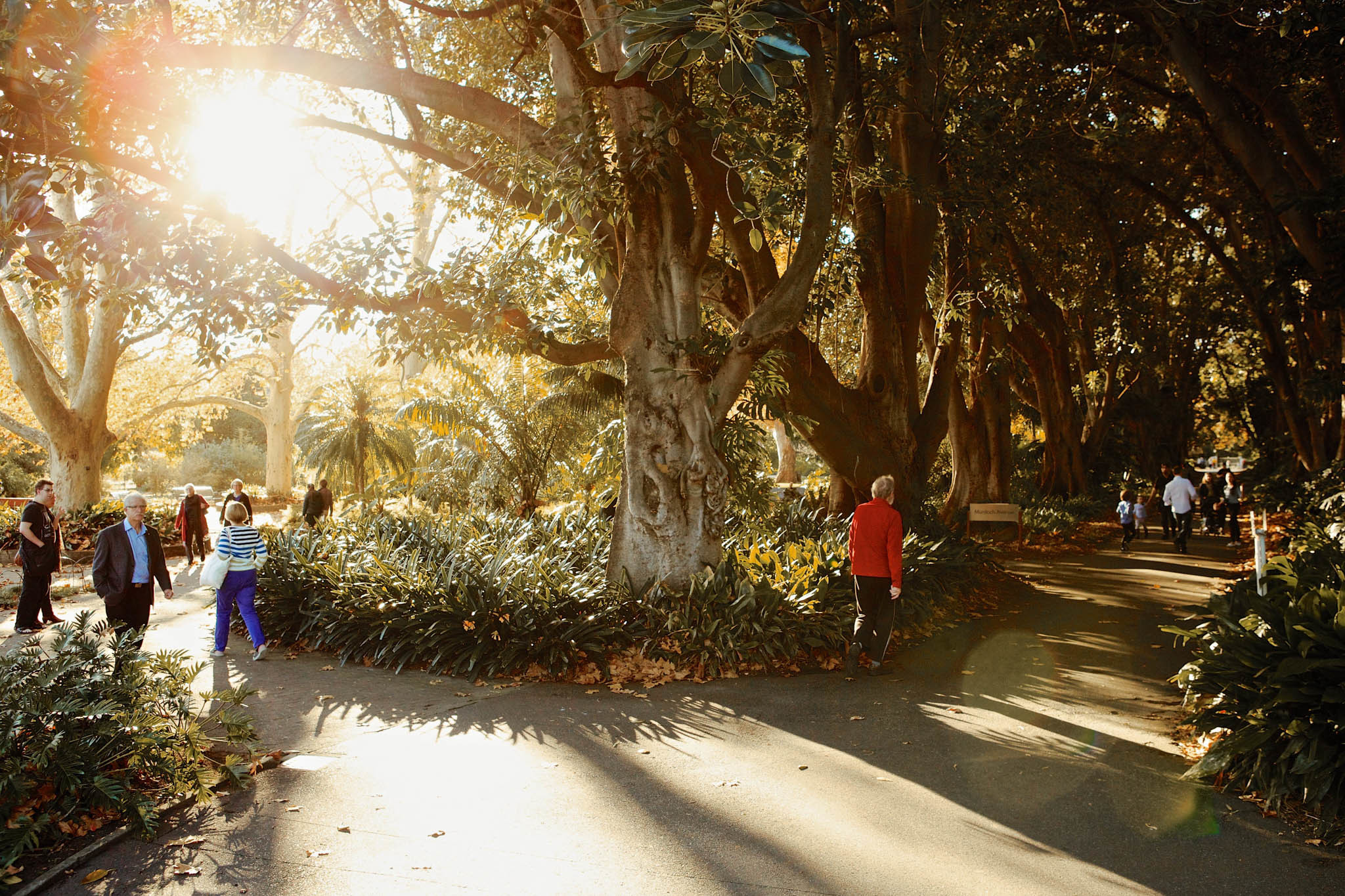 Adelaide Park Lands usage | City of Adelaide