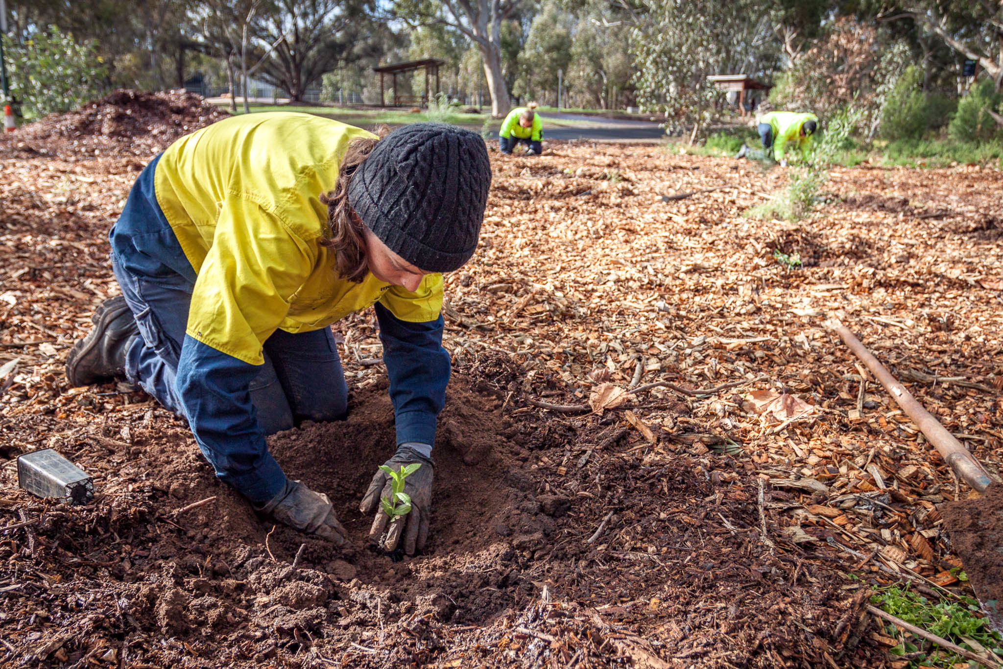 How City of Adelaide responds to climate change | City of Adelaide