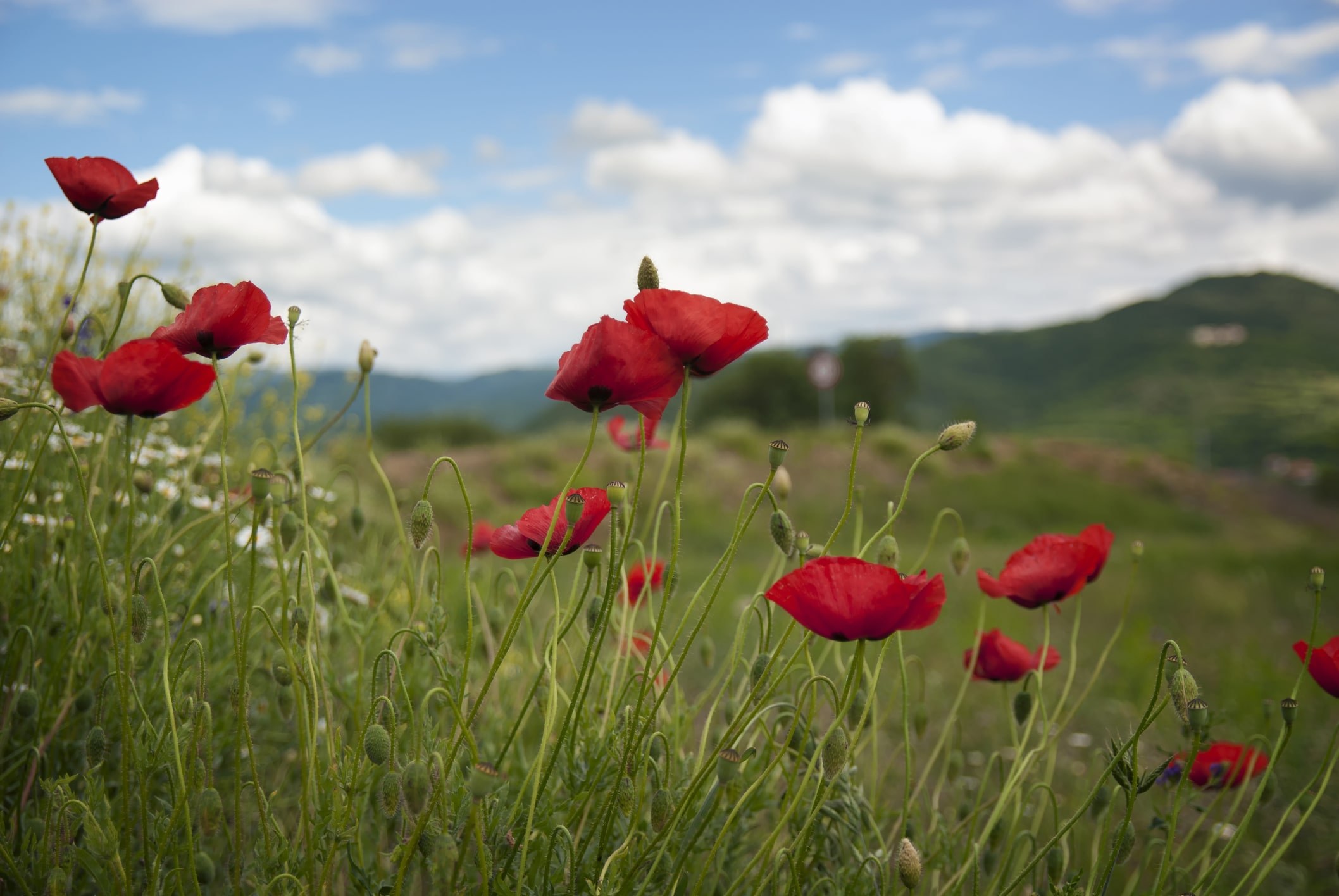 Anzac Day commemorations begin this evening | Mirage News