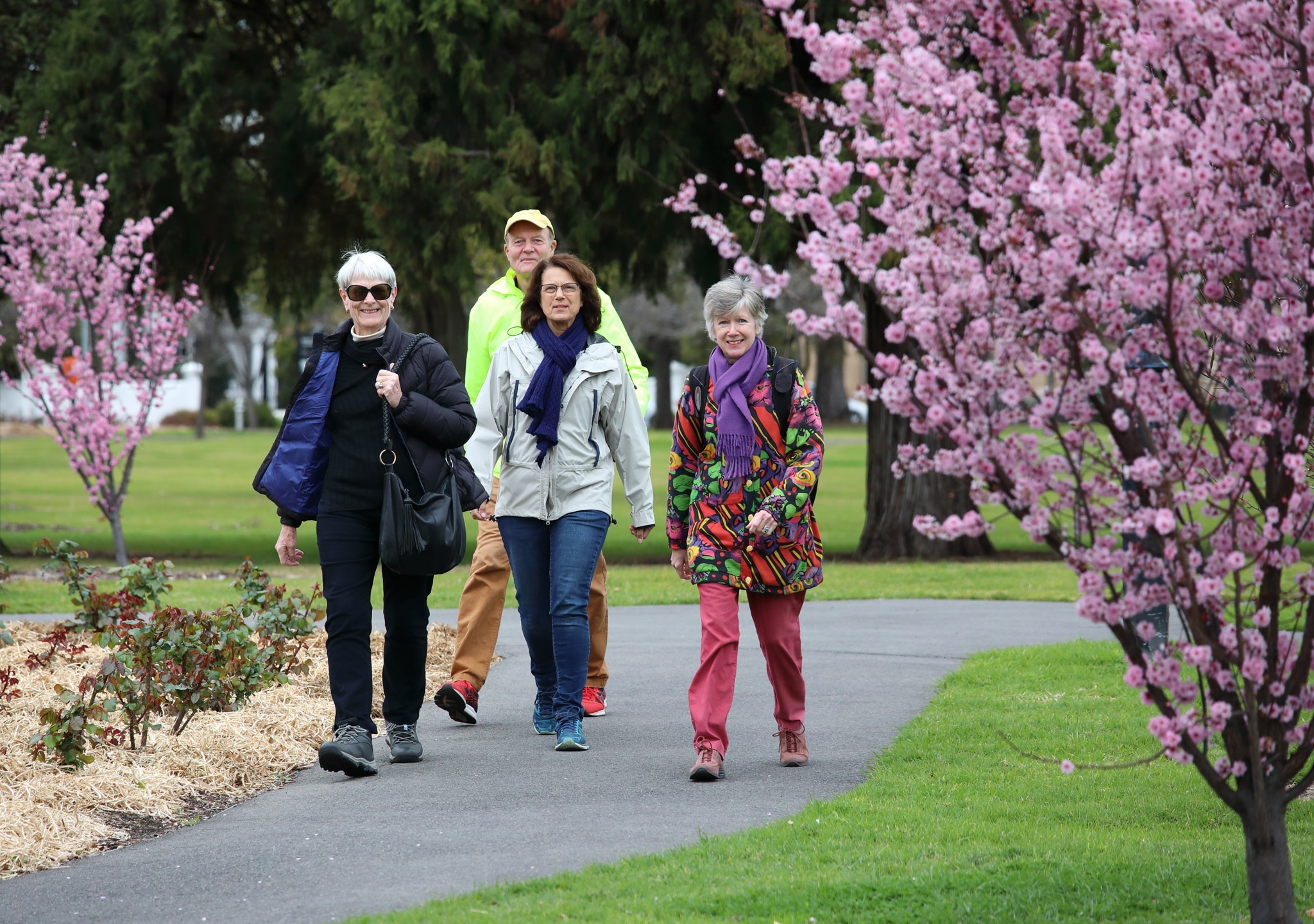 Wellington Square / Kudnartu walking trail | City of Adelaide