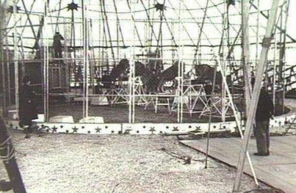 Experience Adelaide | The Circus Comes to Town