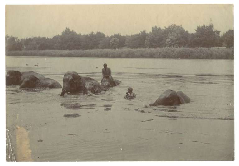 Experience Adelaide | The Circus Comes to Town