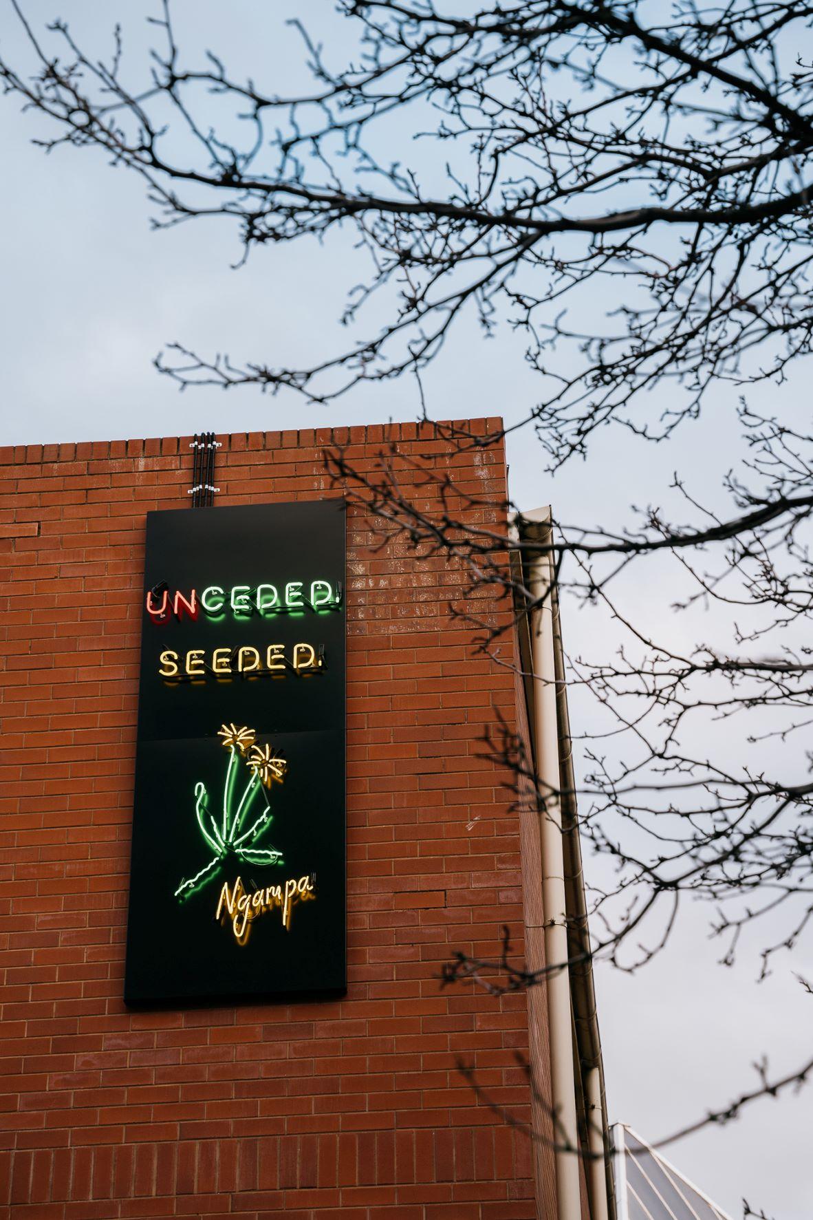 Unceded Seeded (Ngampa) | Art in Adelaide