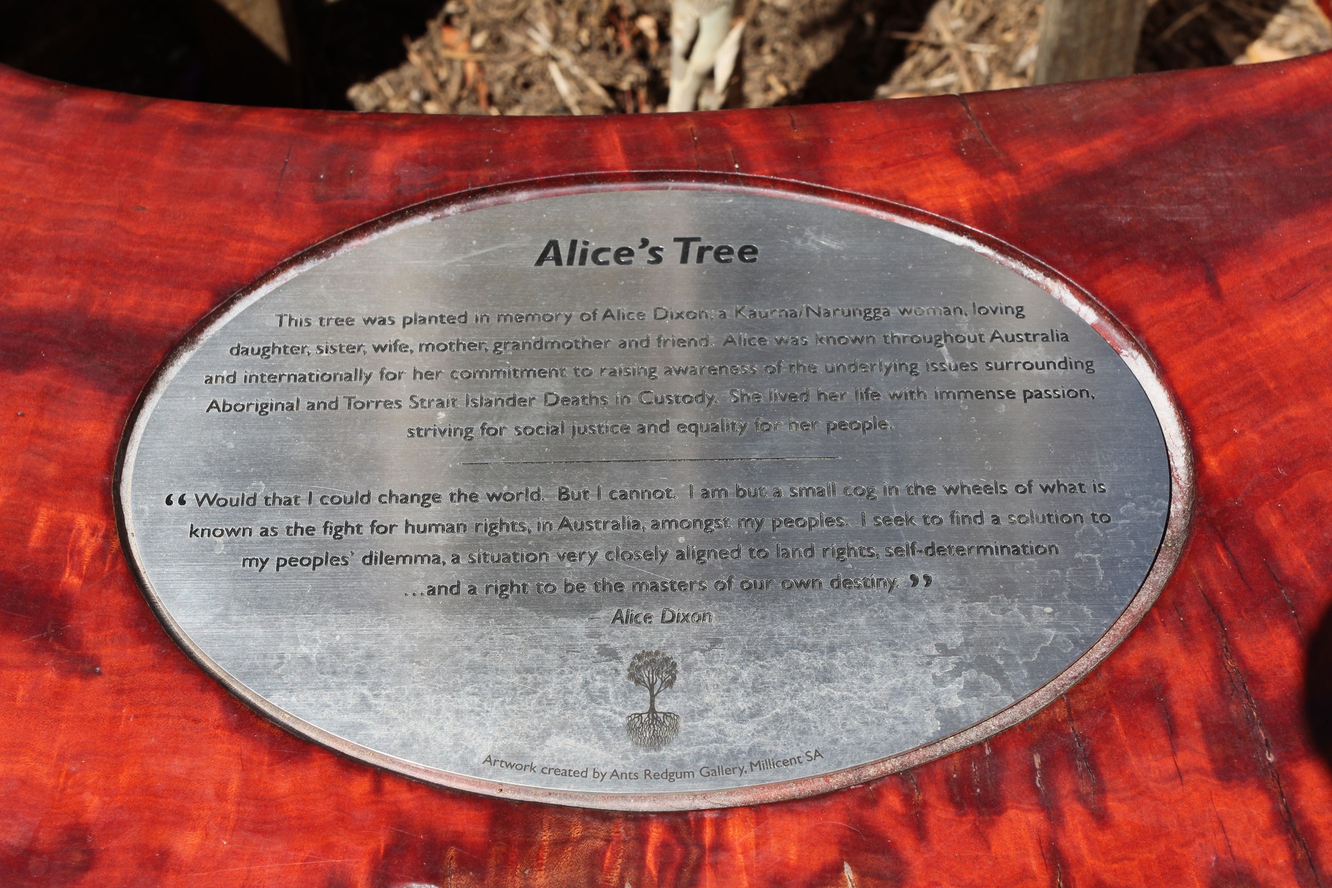 Alice Dixon Tree and Sculpture | Art in Adelaide