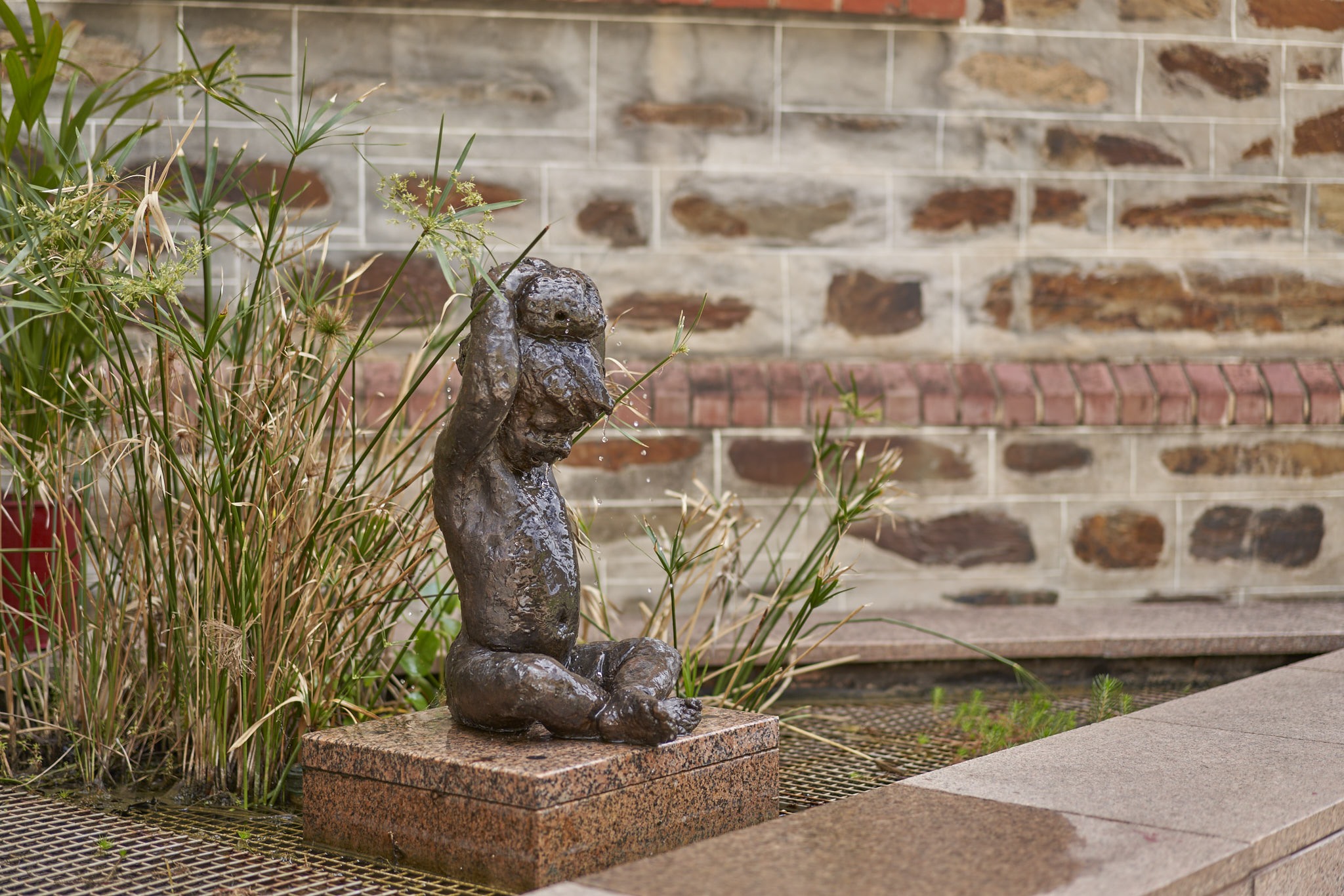 The Sponge | Art in Adelaide