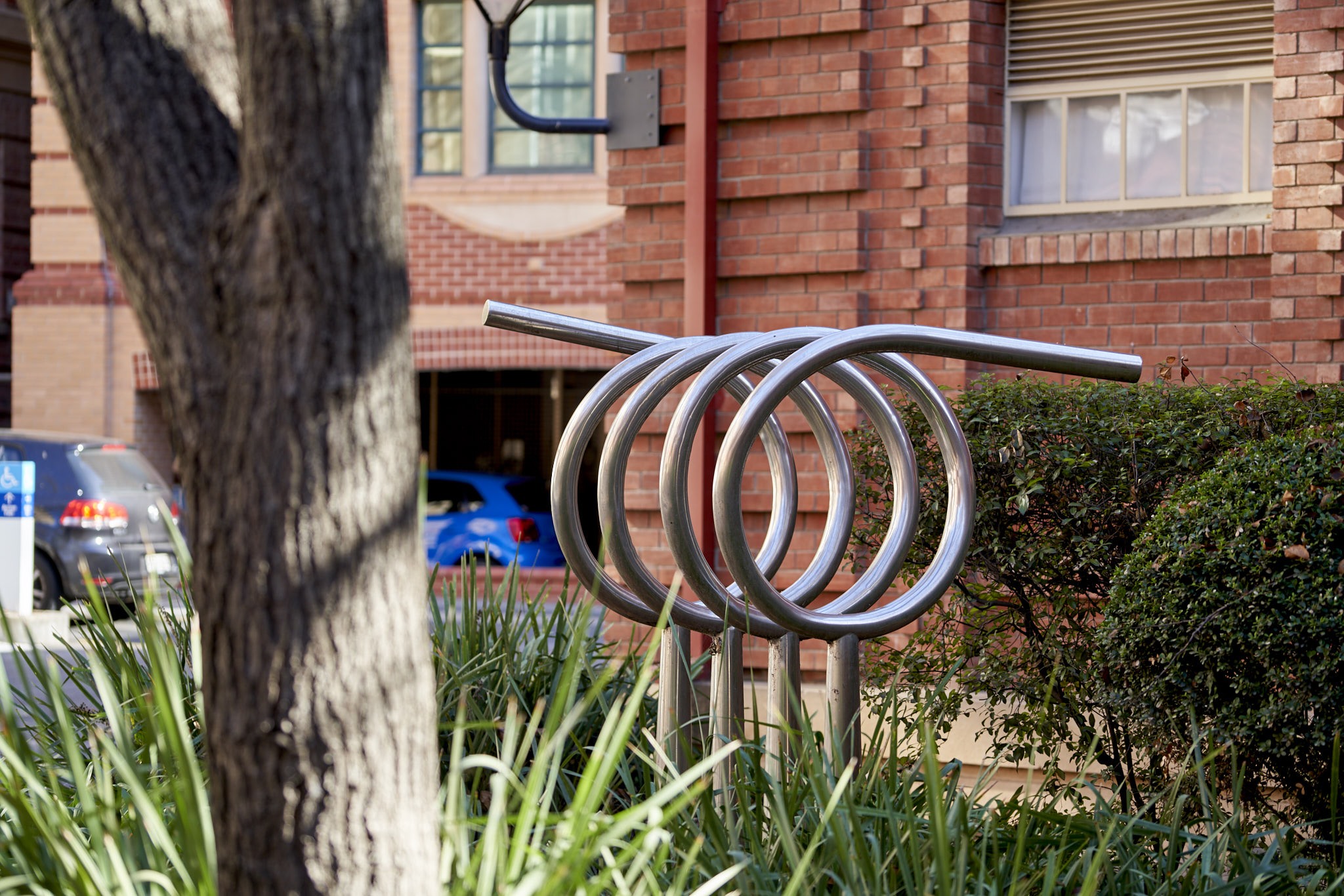 Continuum | Art in Adelaide