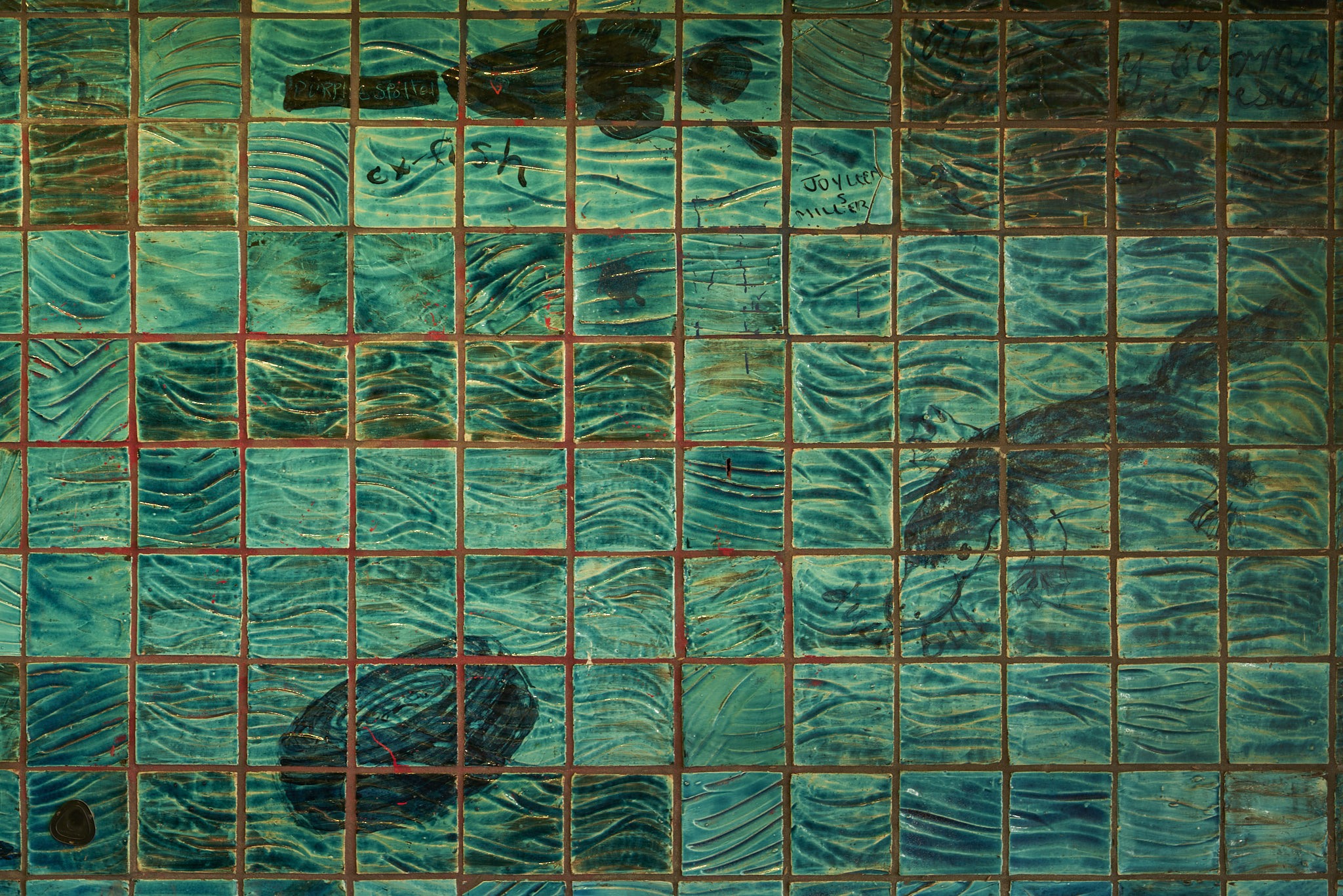 Underneath the arches | Art in Adelaide