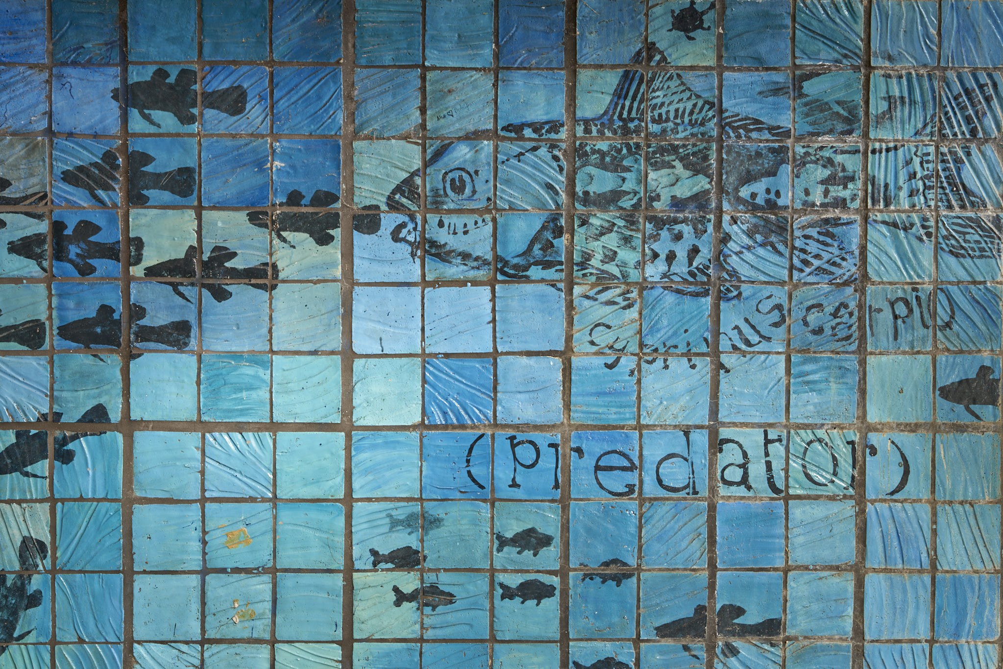 Underneath the arches | Art in Adelaide