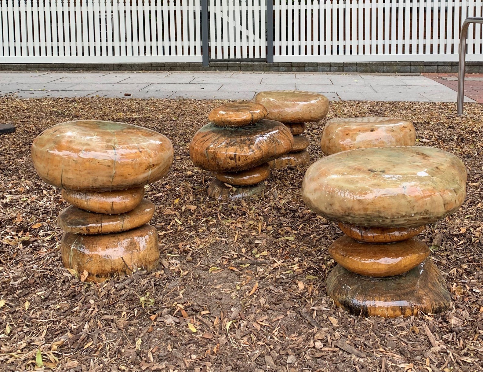Memorial to an Ash Tree | Art in Adelaide