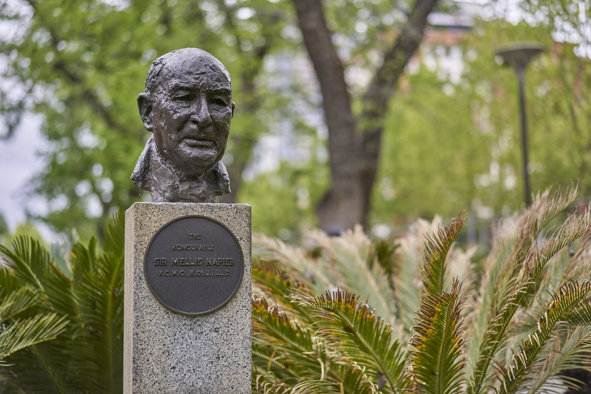 Sir Thomas John Mellis Napier | Art in Adelaide