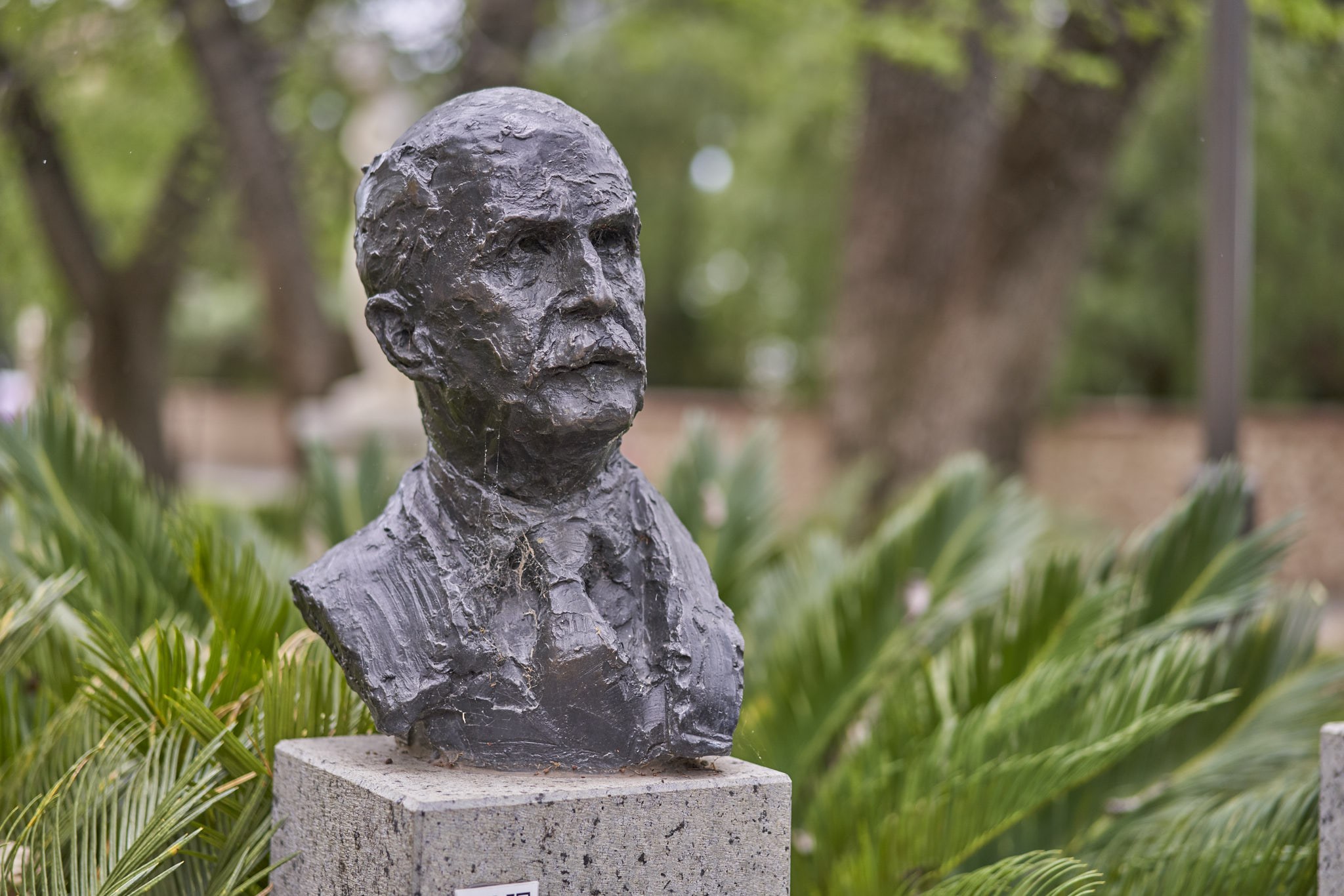 Sir William Henry Bragg | Art in Adelaide