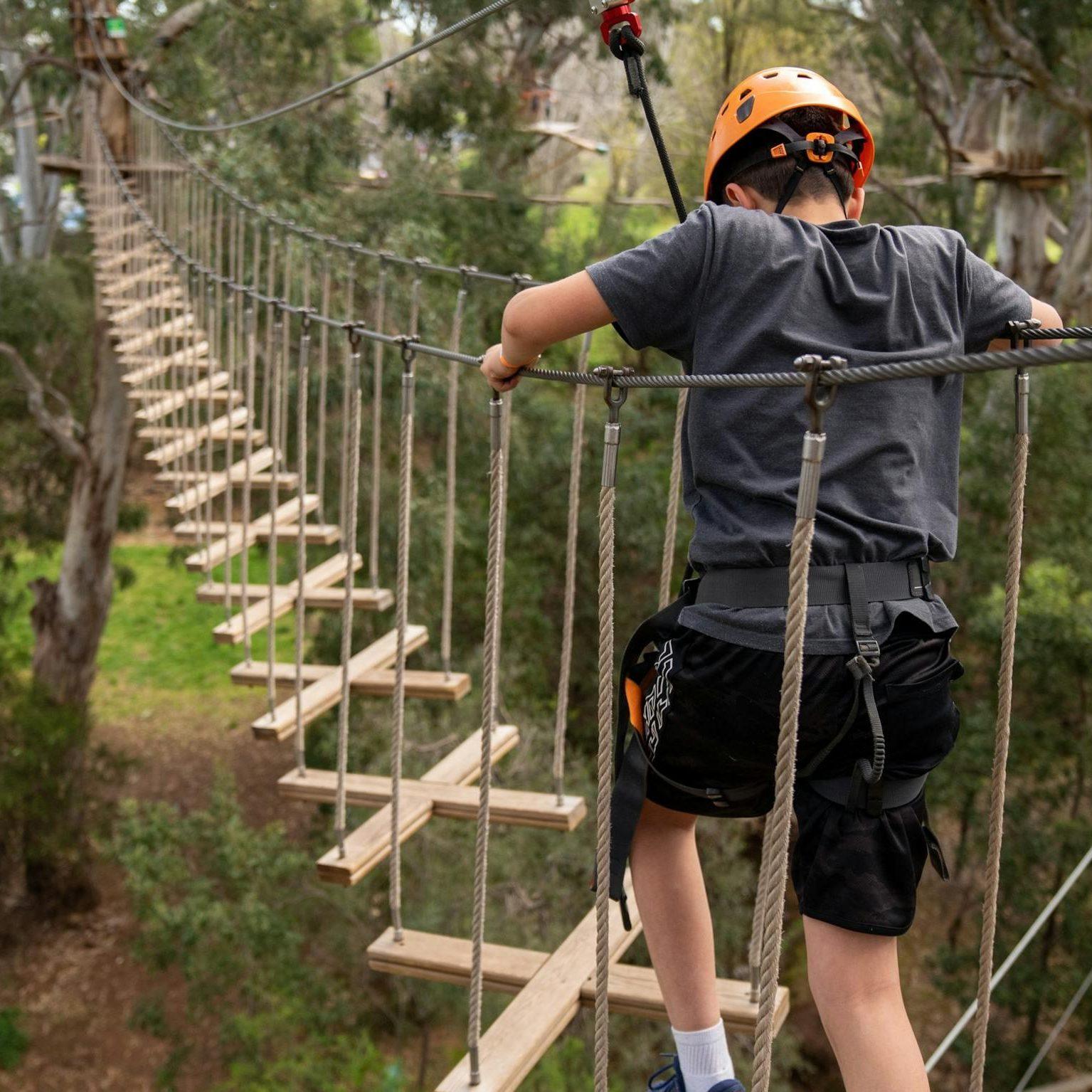 Experience Adelaide | Explore the city